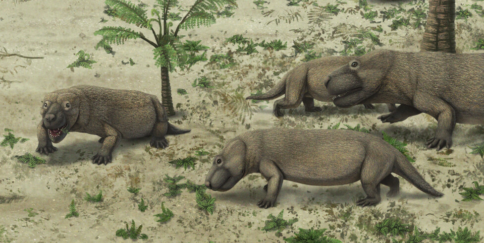 Vitor Silva - Start of a New Age - Santa Maria Formation