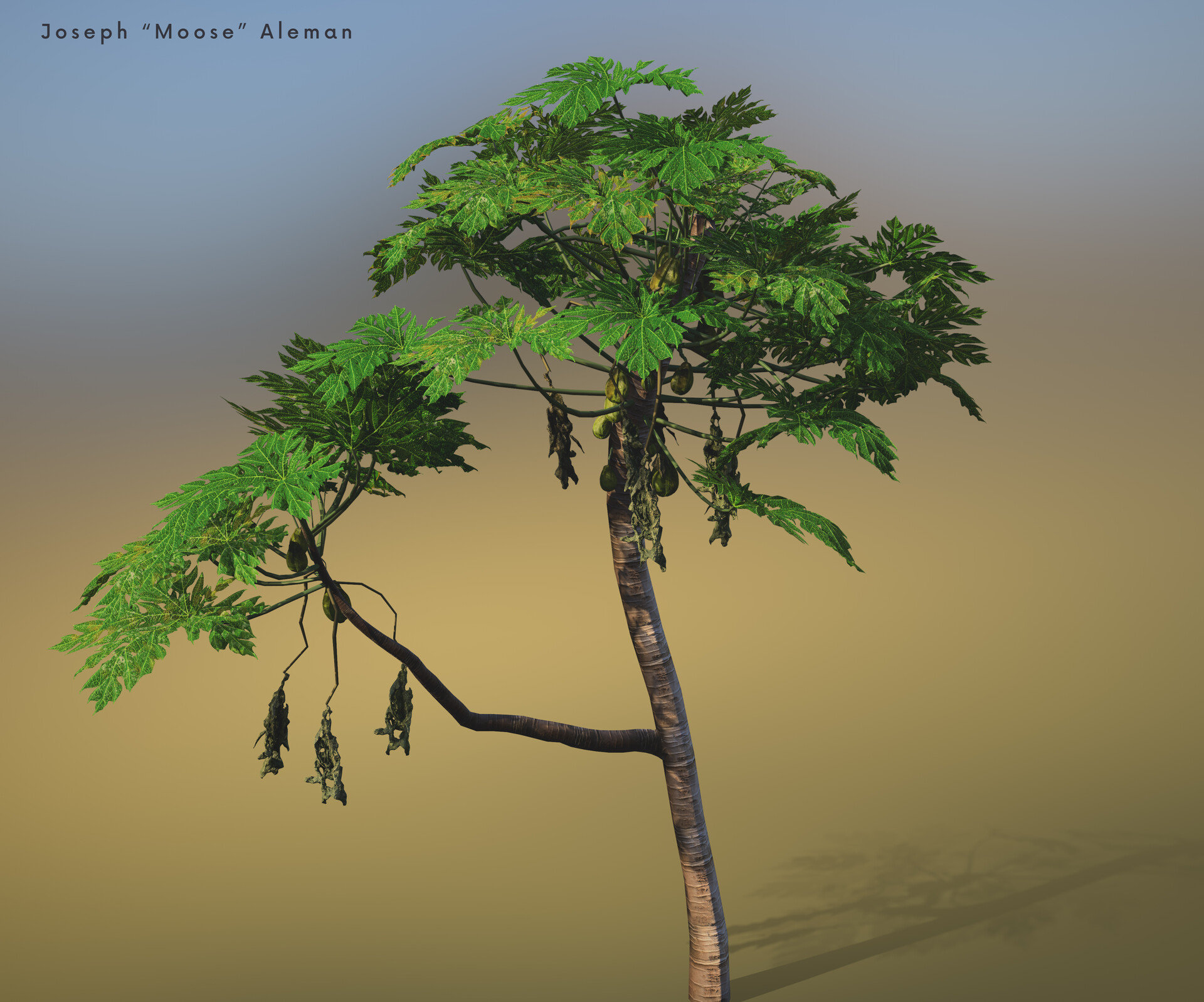 ArtStation - Papaya Tree: A Fusion of Reality and Procedural Artistry
