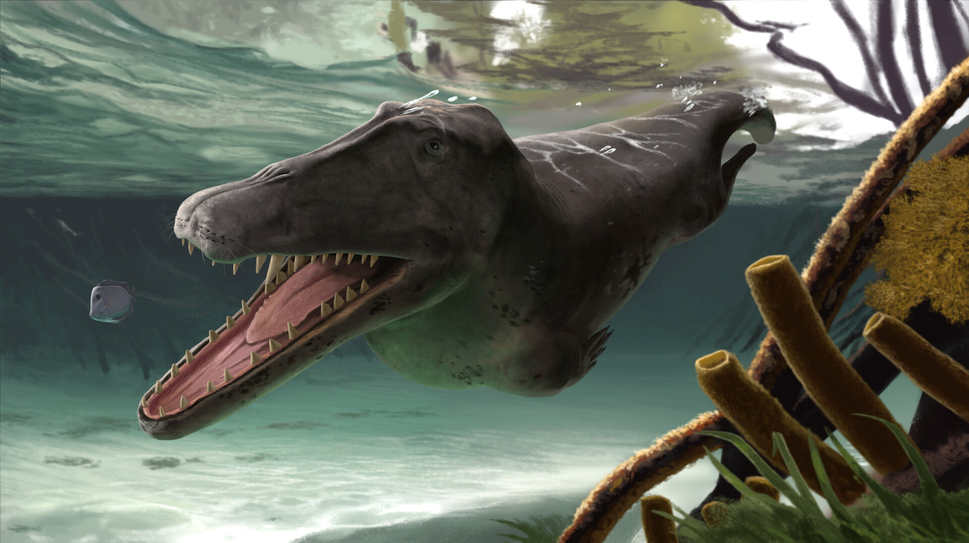 ambulocetus animation