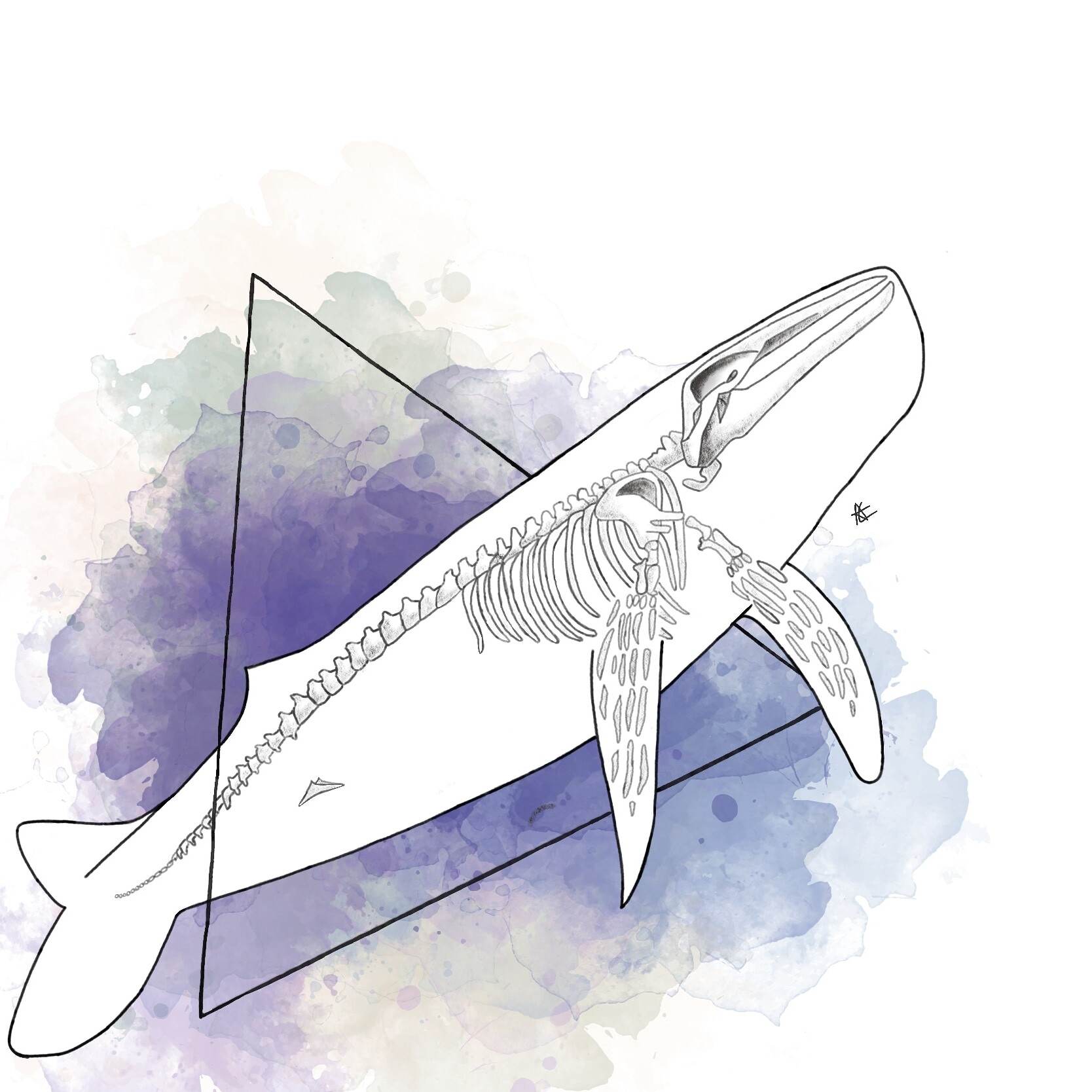 ArtStation - ghost whale