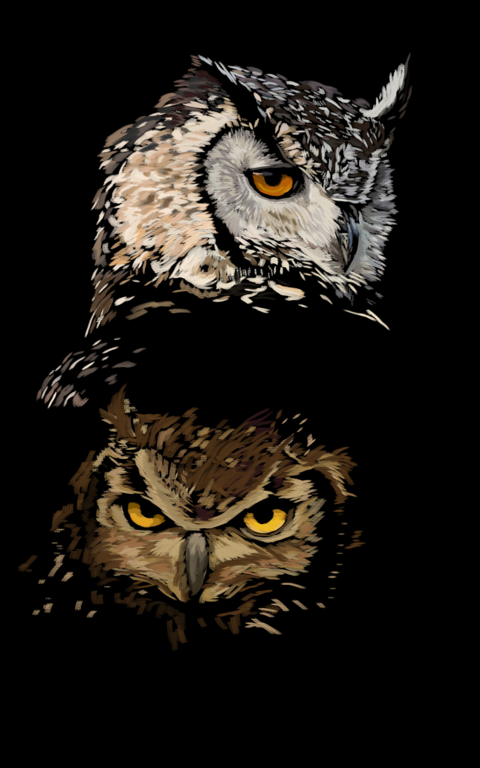 ArtStation - Owl Face Study