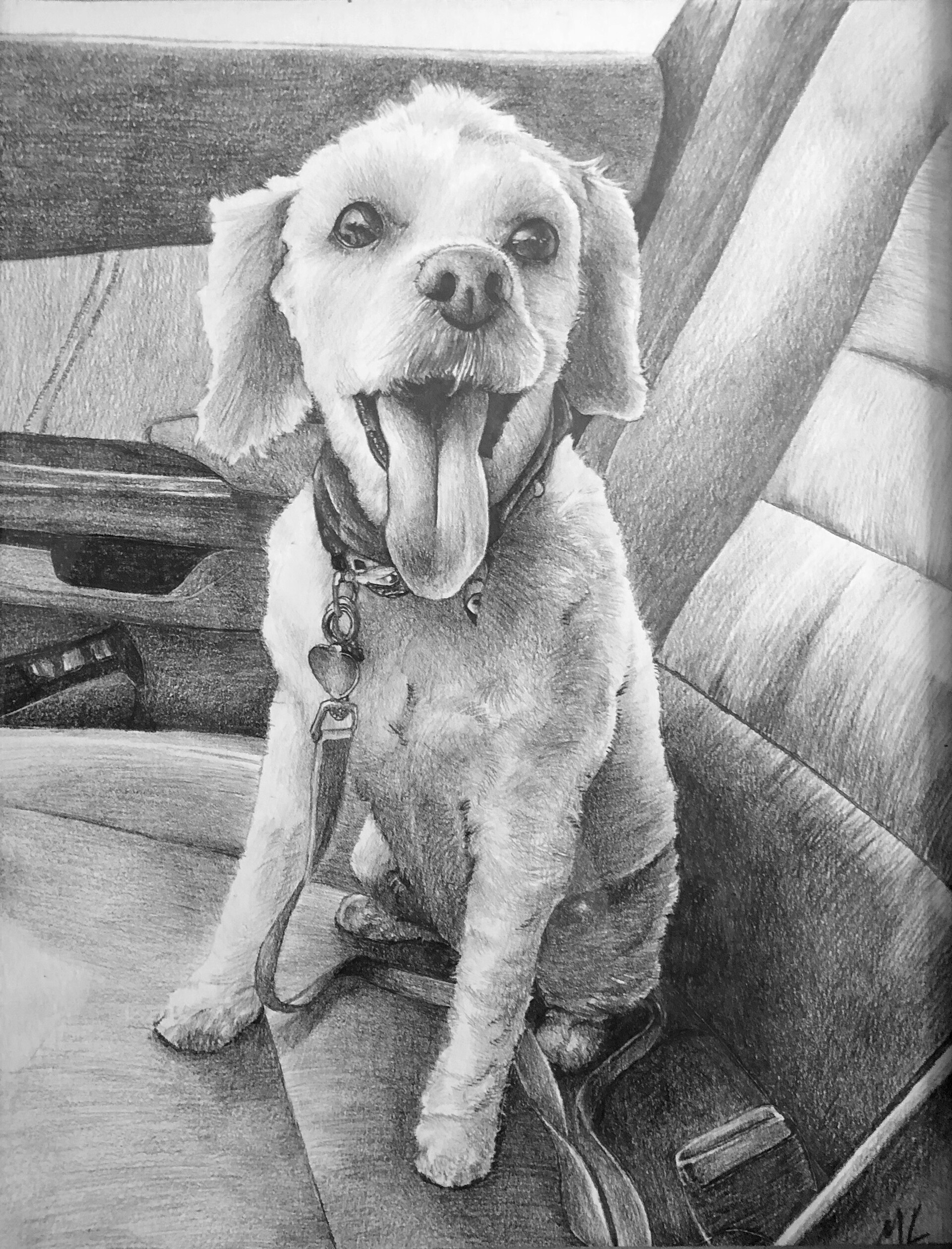 ArtStation - Dog Sketches