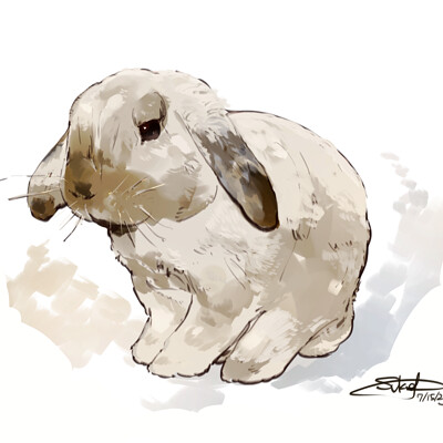 SukeP (Kosuke Nakamura)