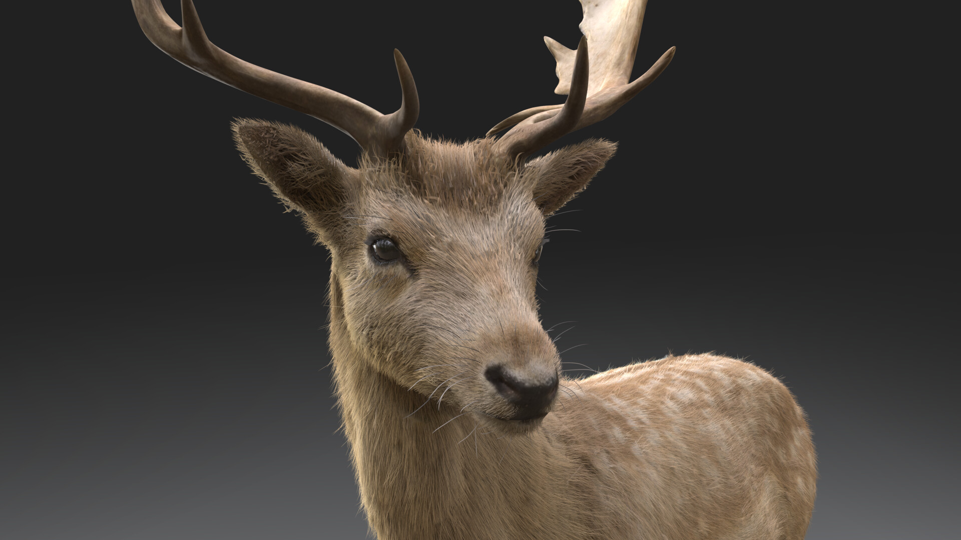 ArtStation - White Stag Groom