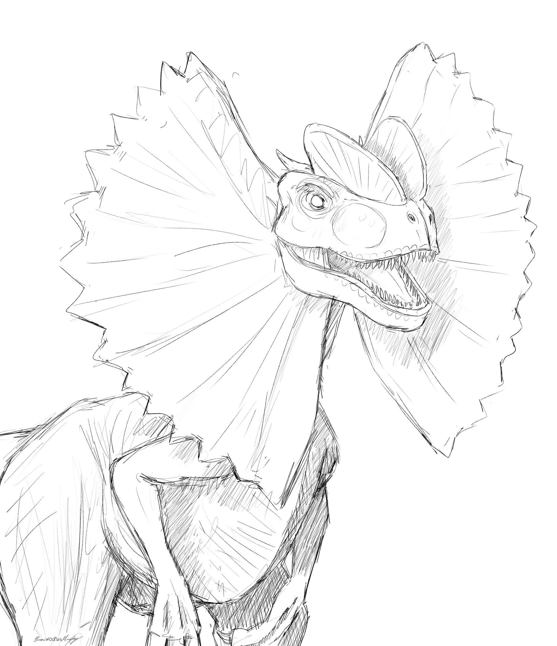 jurassic park dilophosaurus coloring pages