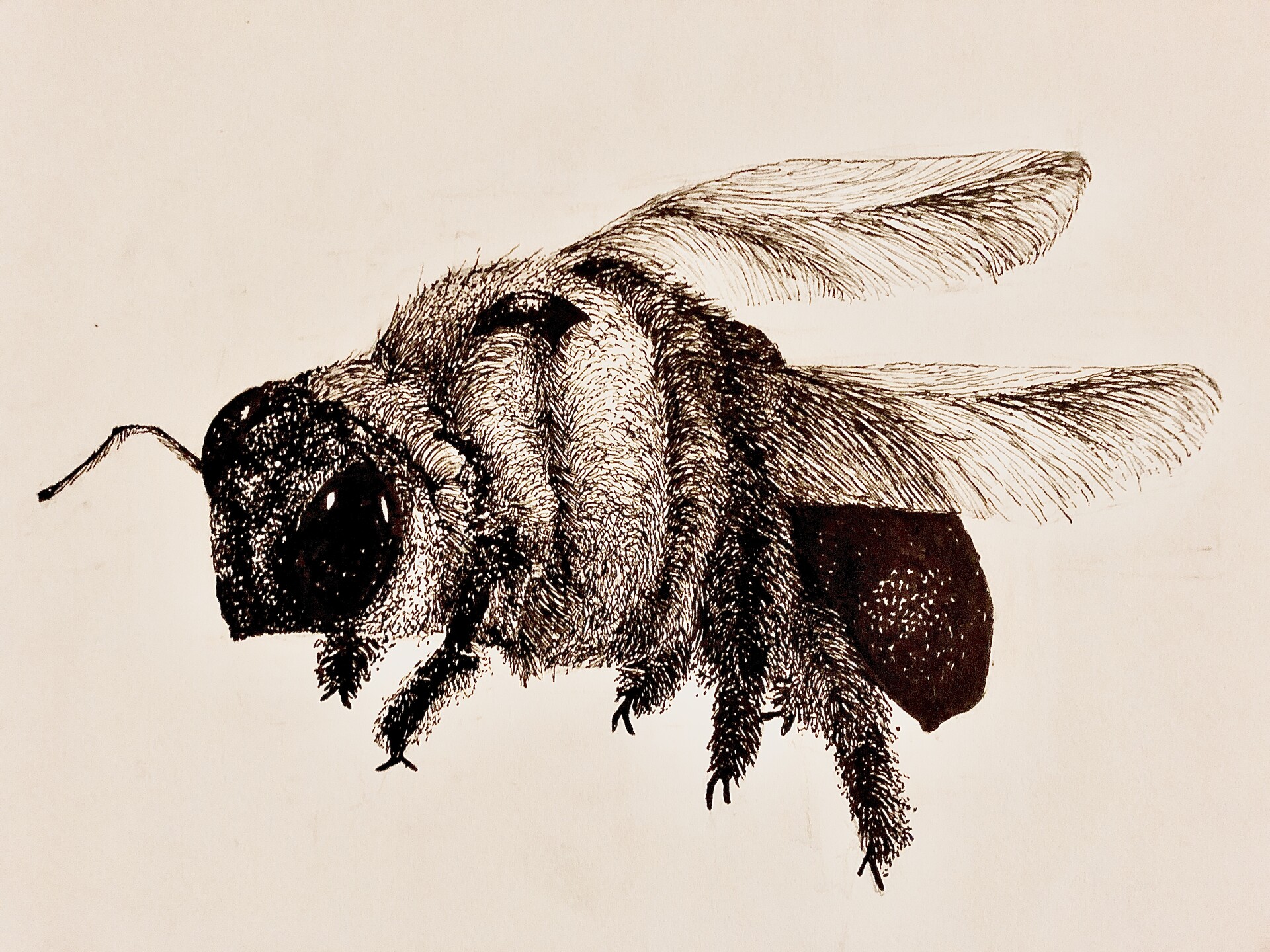 ArtStation - Stippling Collection