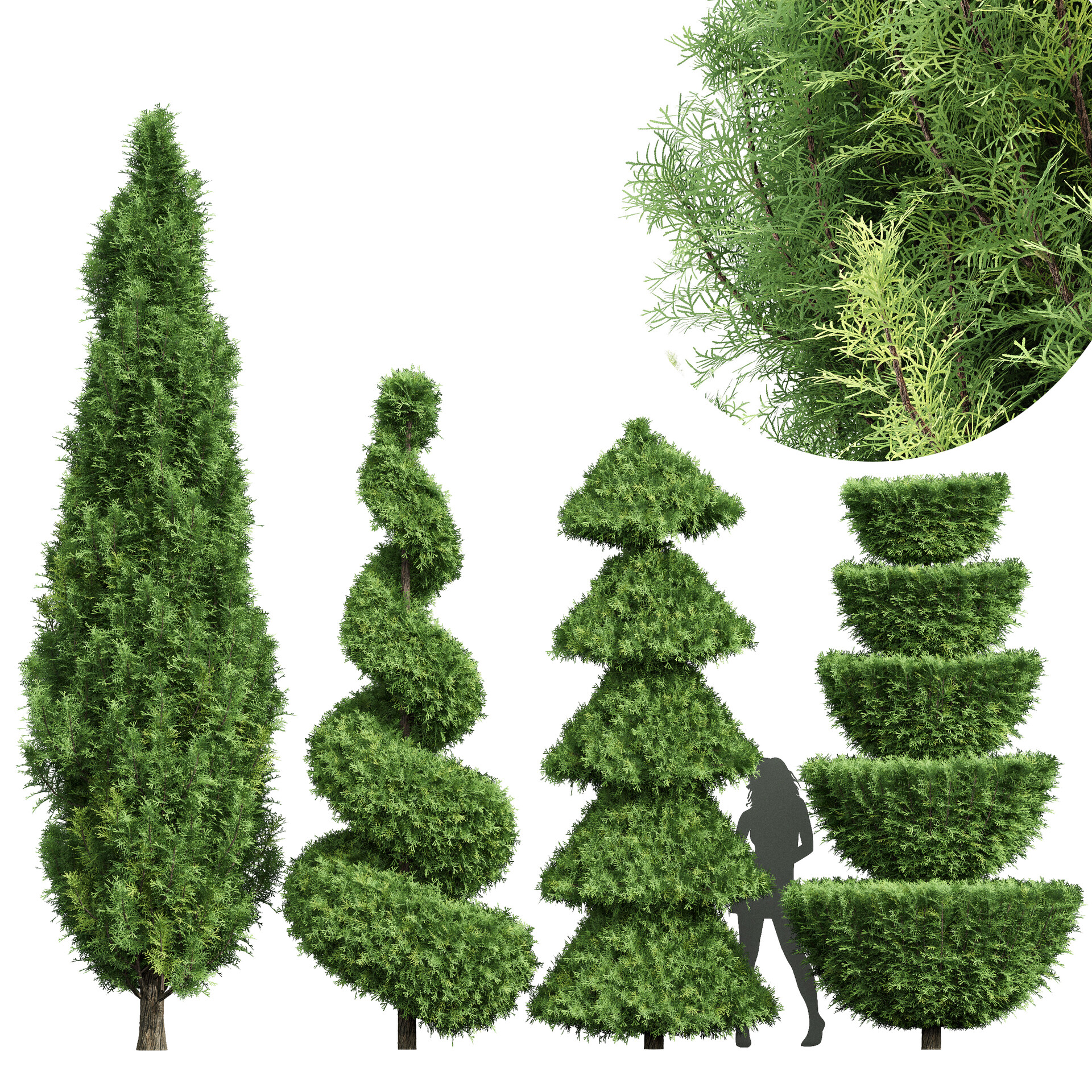 ArtStation - Italian Cypress 4 trees