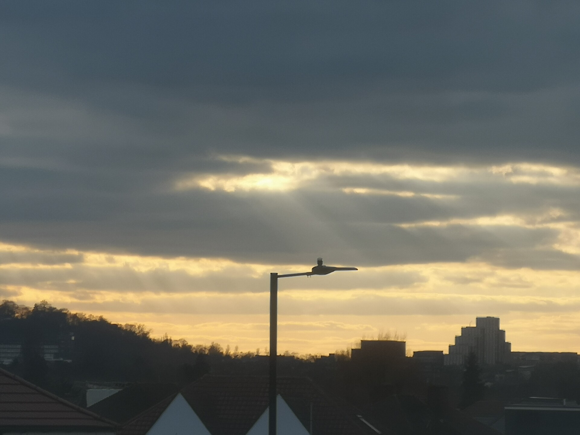 ArtStation - Realistic Night Ray : Sunset Ray.