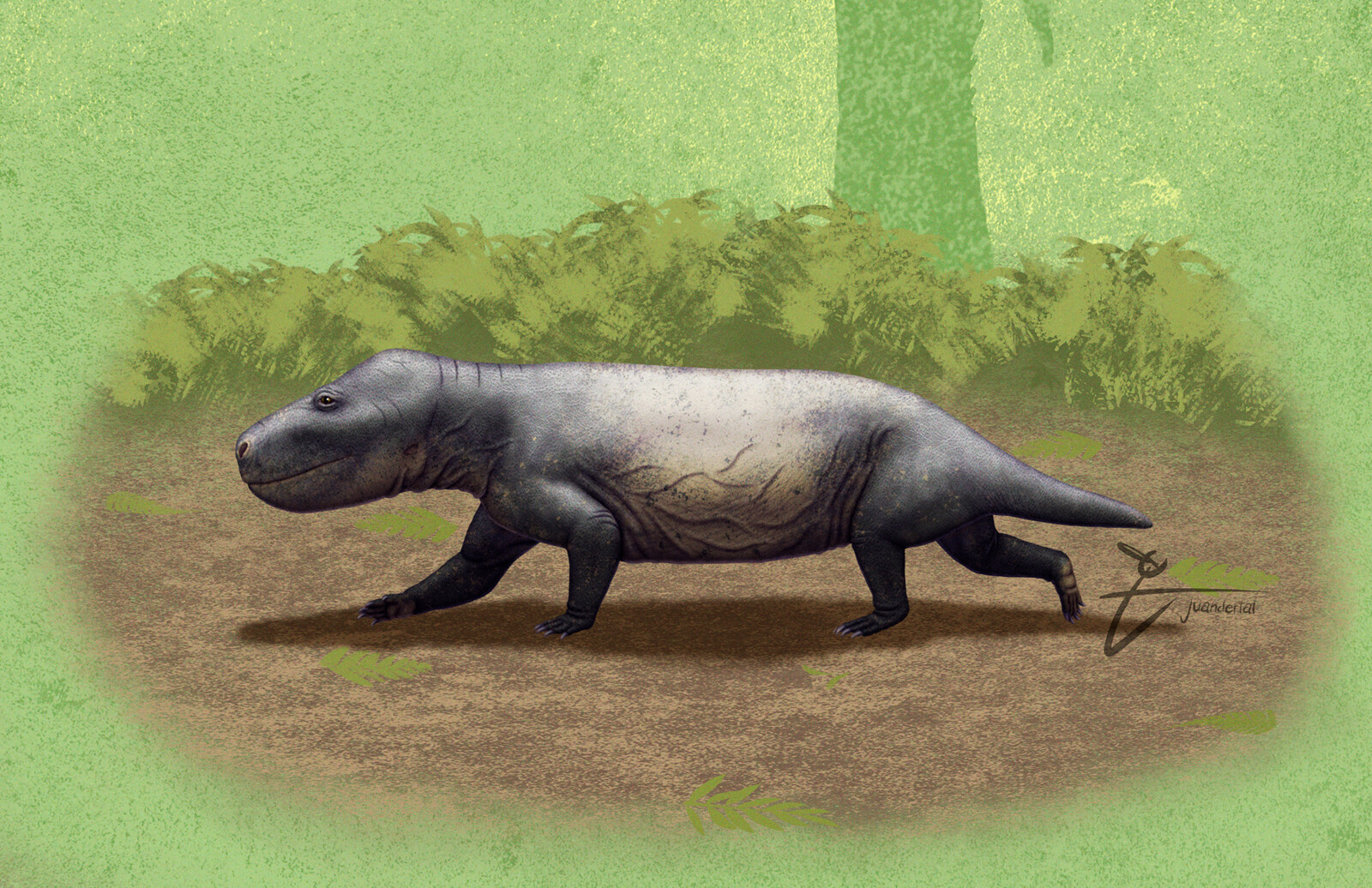 Juandertal - Exaeretodon argentinus.