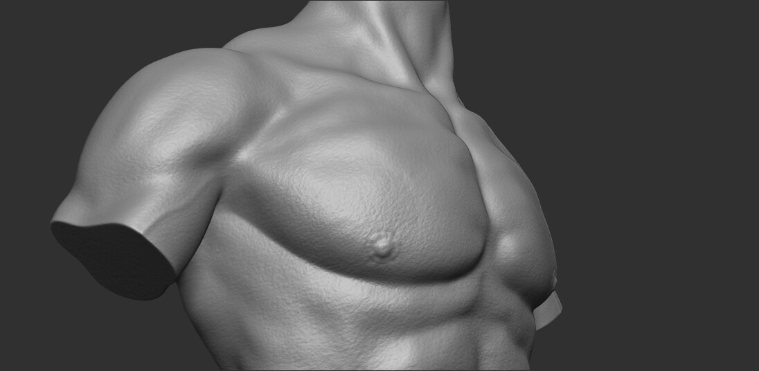 ArtStation - Torso Practice ZBrush