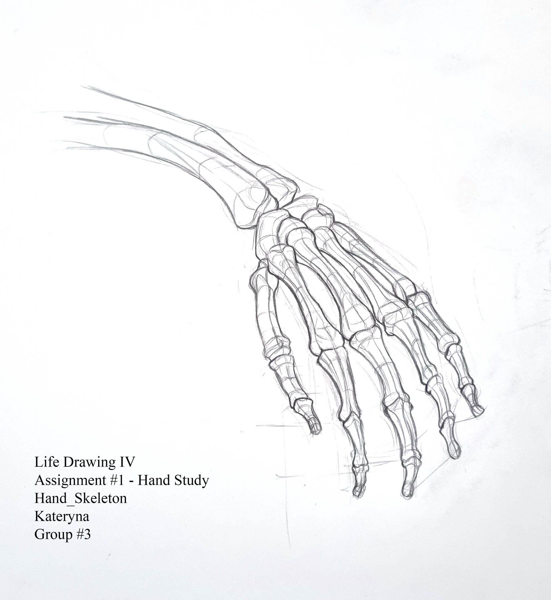 skeleton hand drawing tutorial
