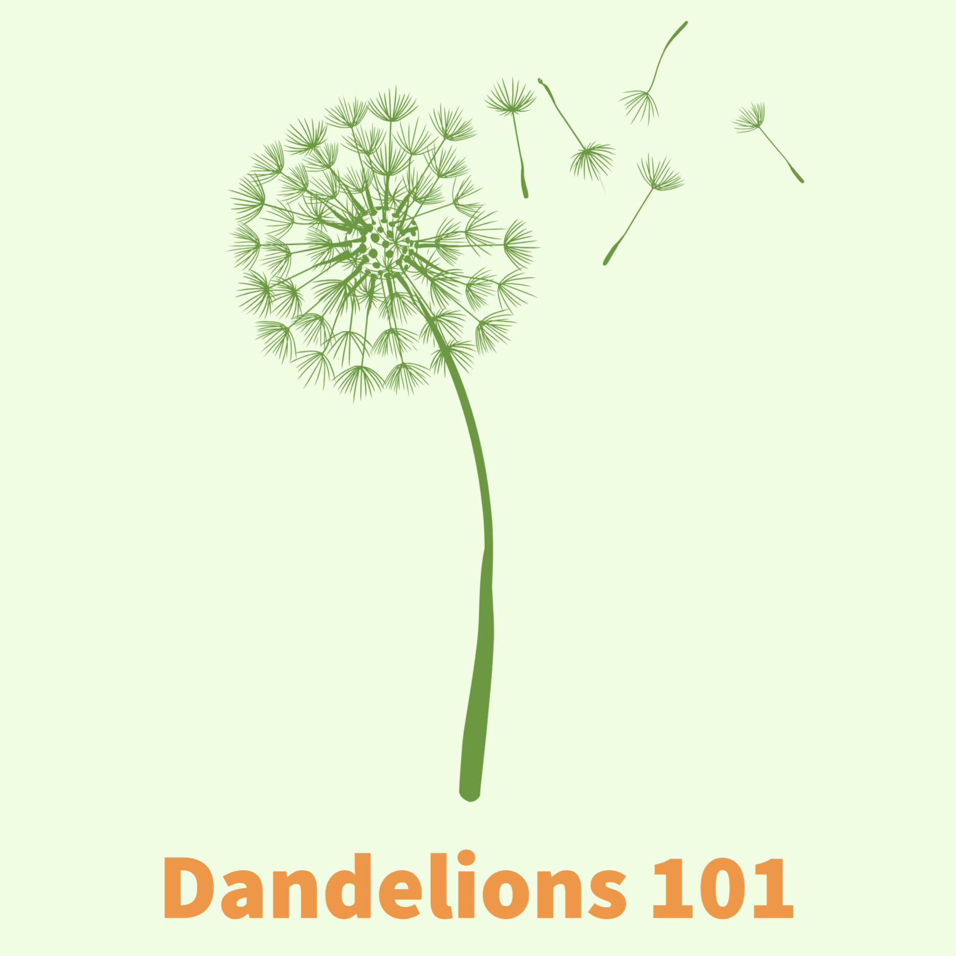 Boyd Lake - Dandelions 101
