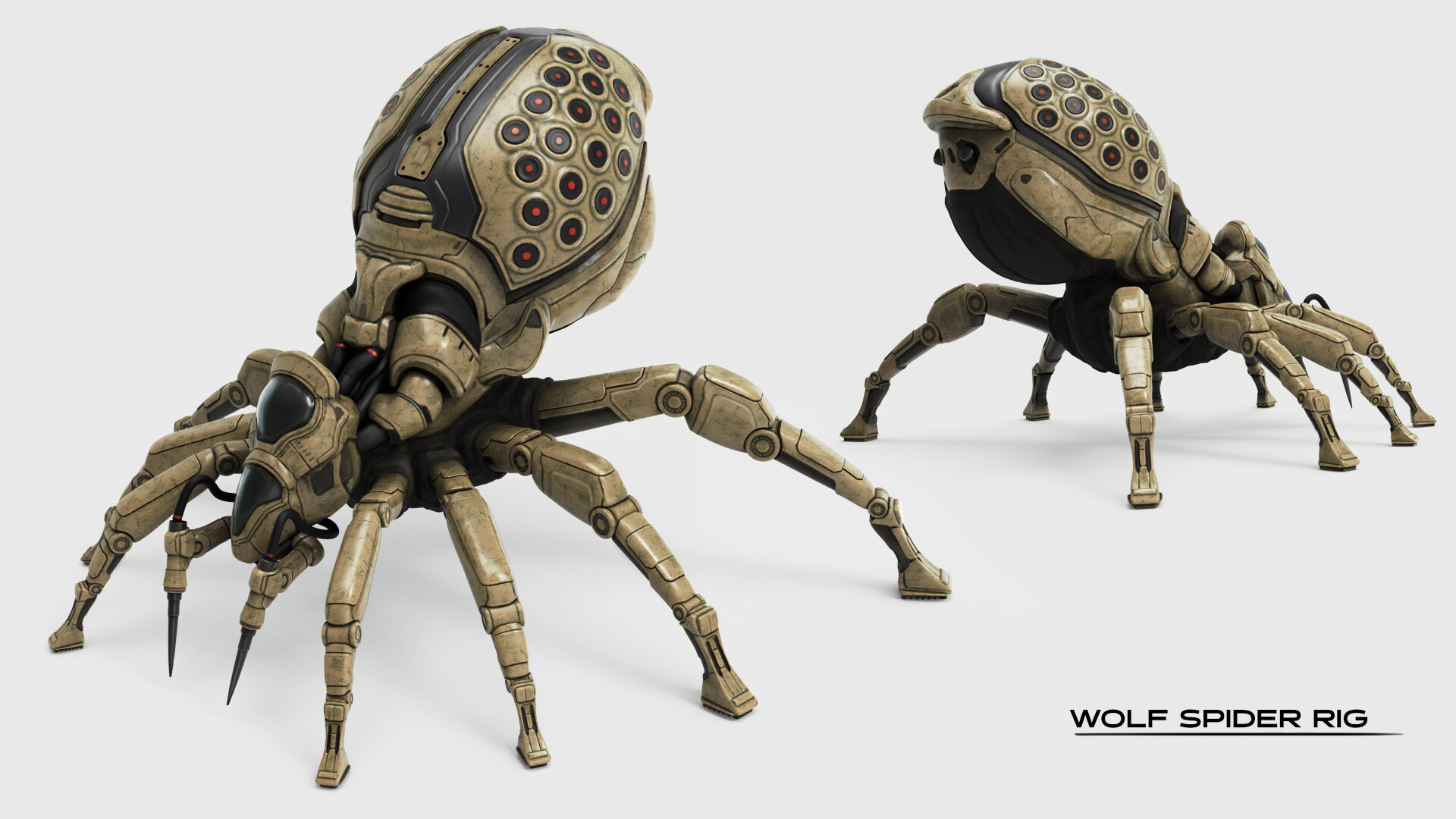 ArtStation - Wolf Spider Rig