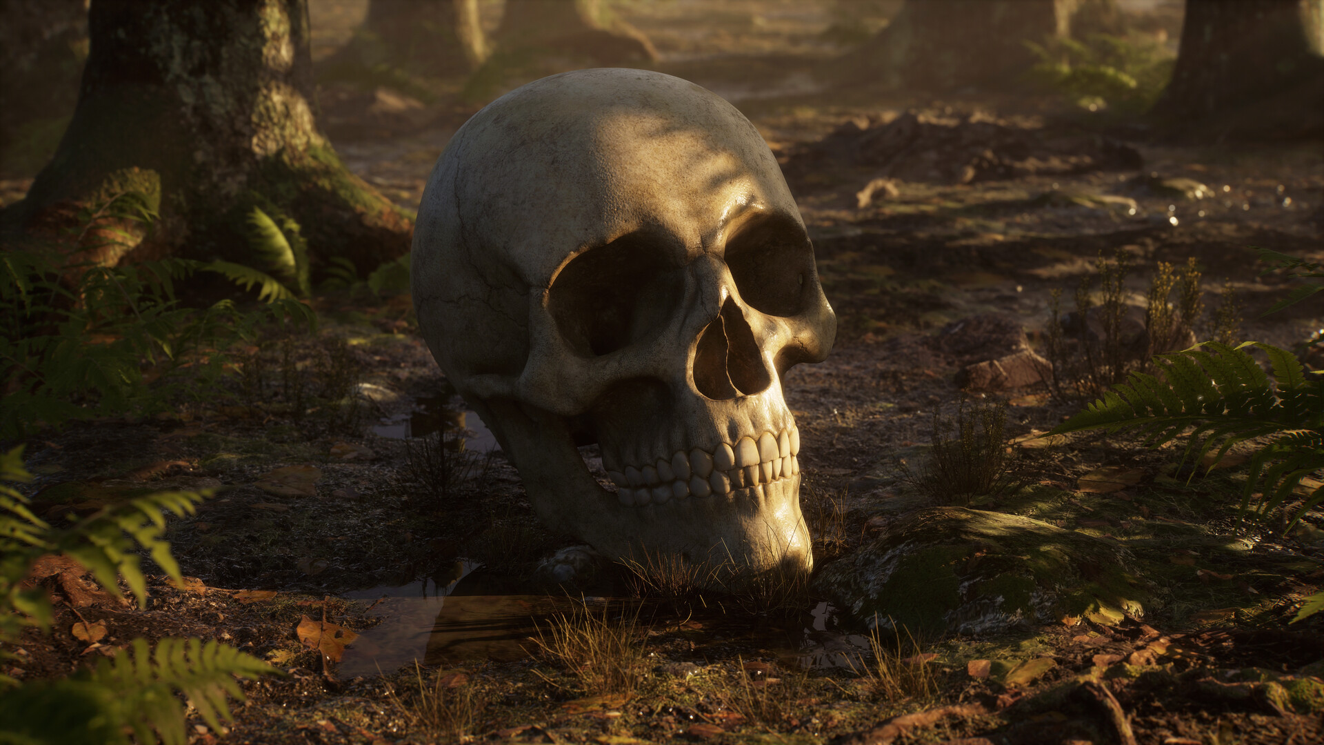 ArtStation - Skull - Modeling & Texturing