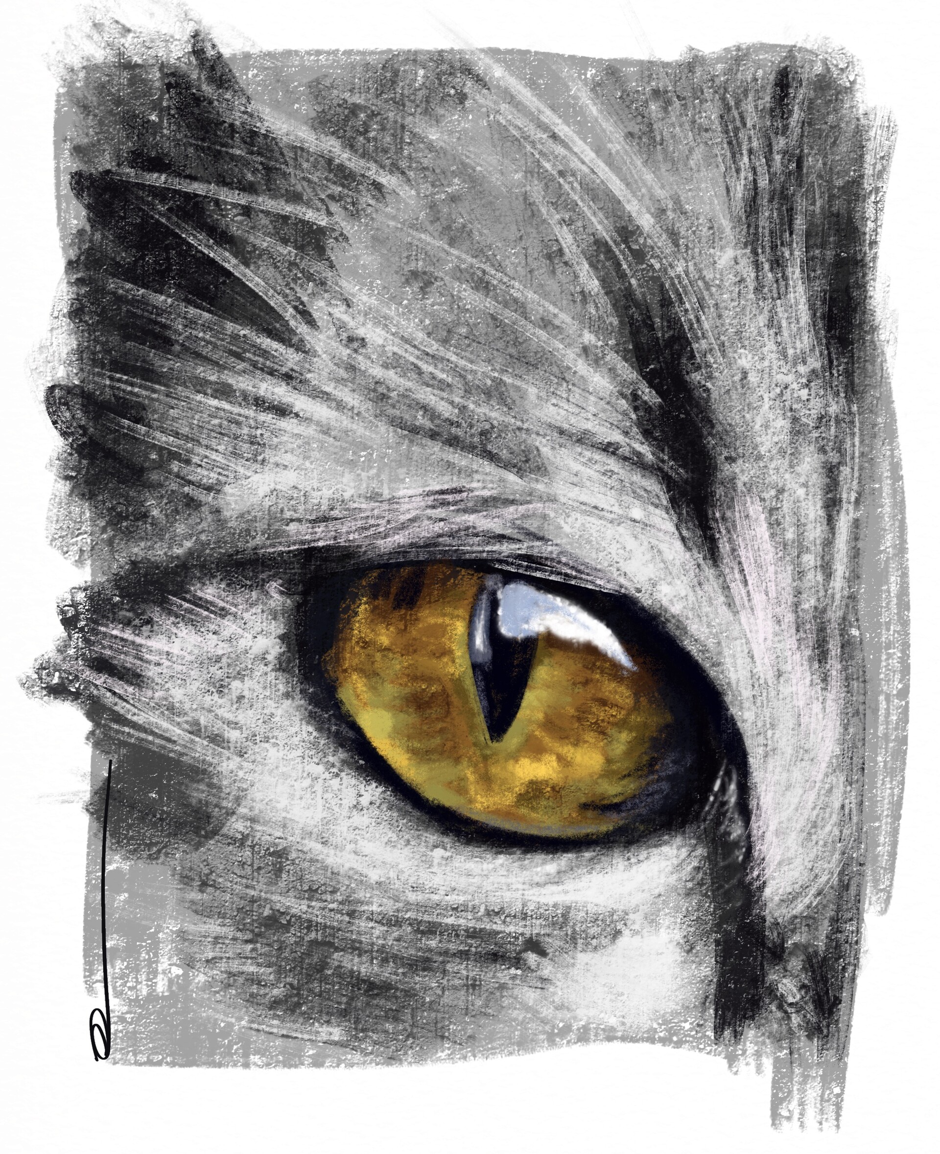 ArtStation - Cat”s eye