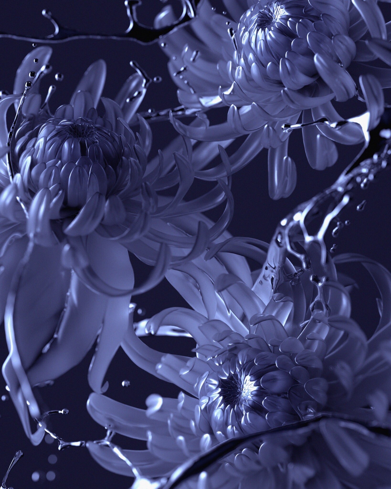 Shams Meccea - Dark Flora