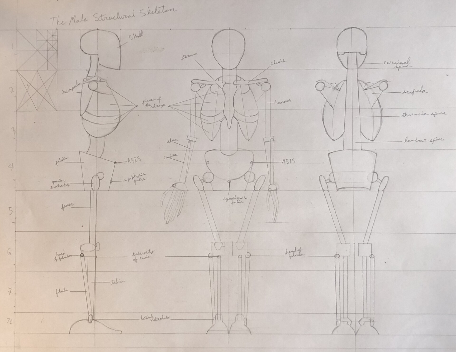 ArtStation - Structural Skeleton