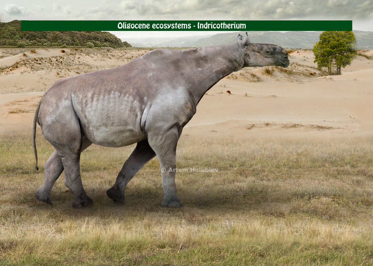 ArtStation - Indricotherium