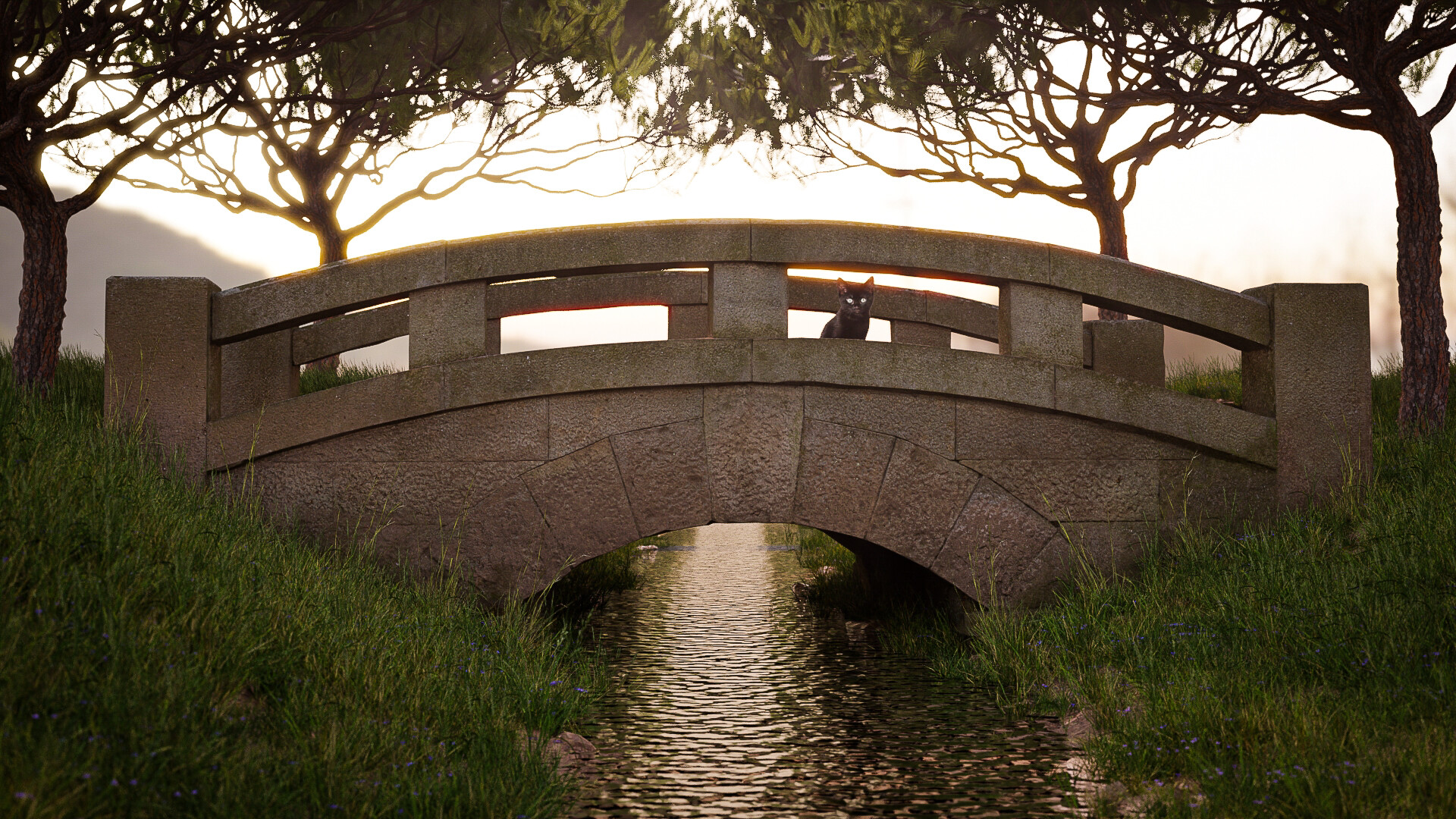 Saphius Stonehocker - Japanise Cat Bridge