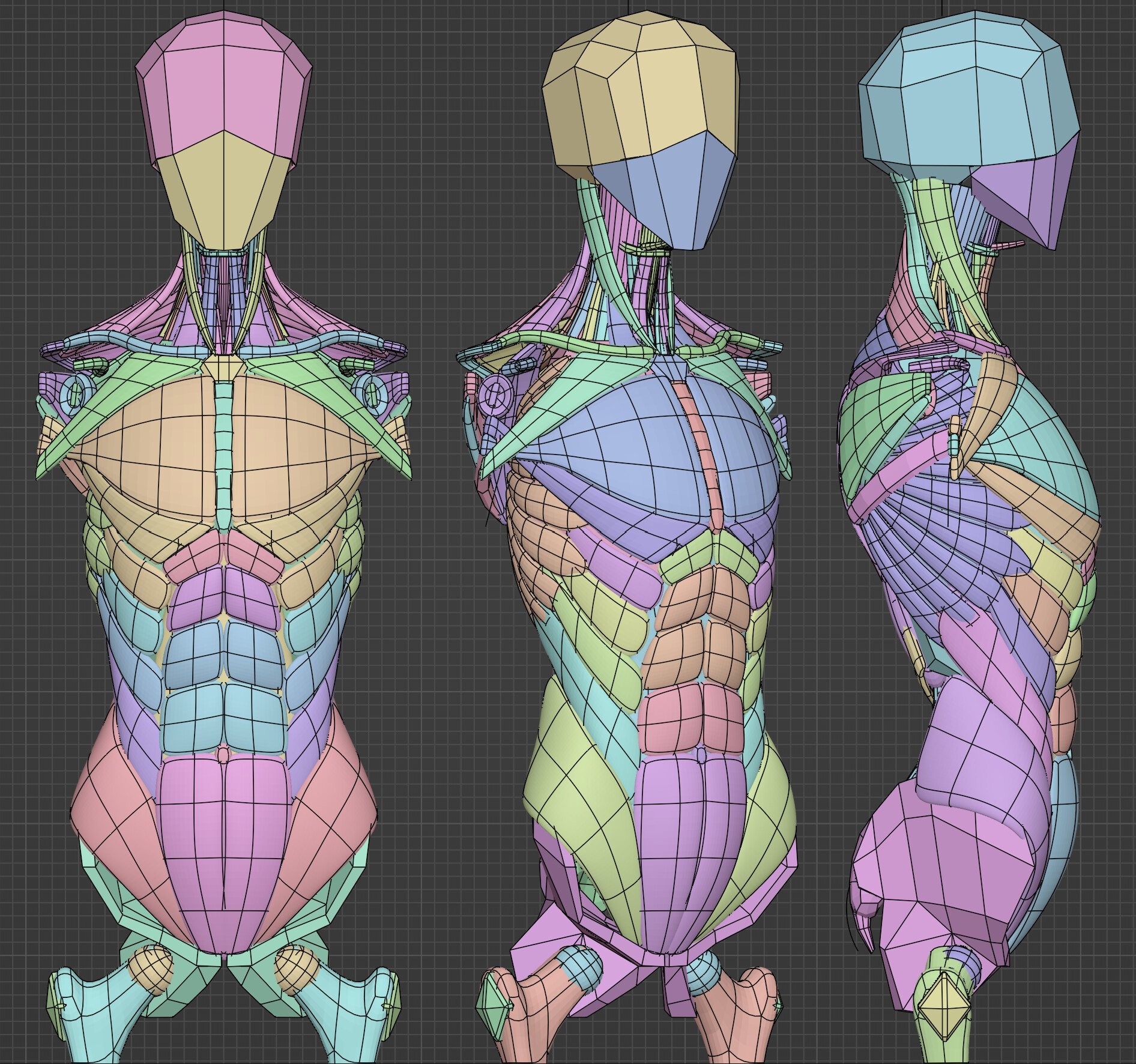 ArtStation - anatomy