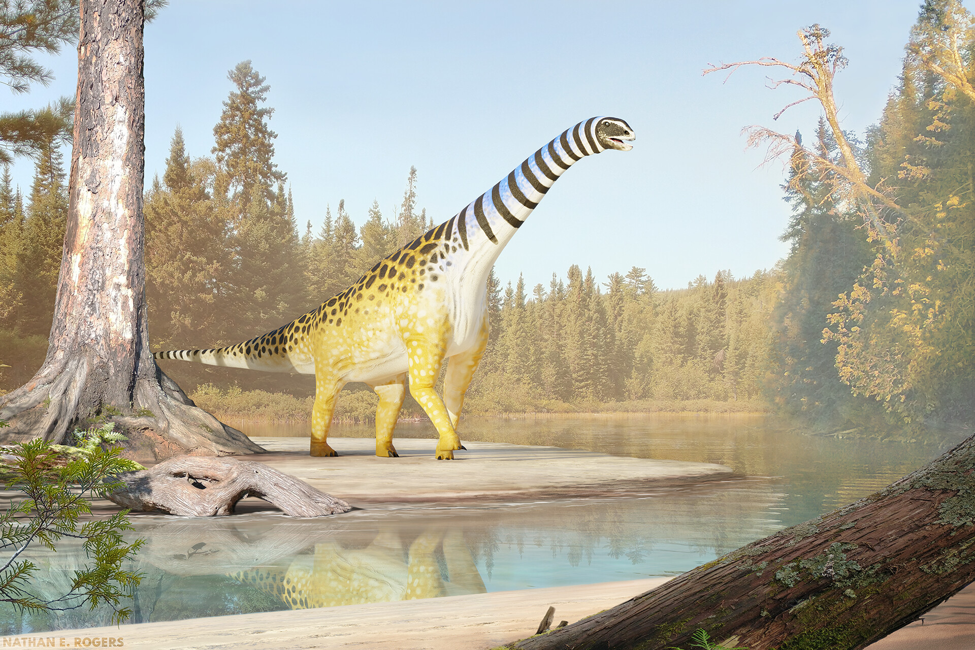 Spinophorosaurus