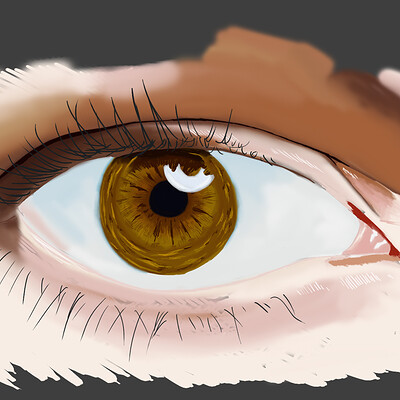 Seth Lim - Portfolio