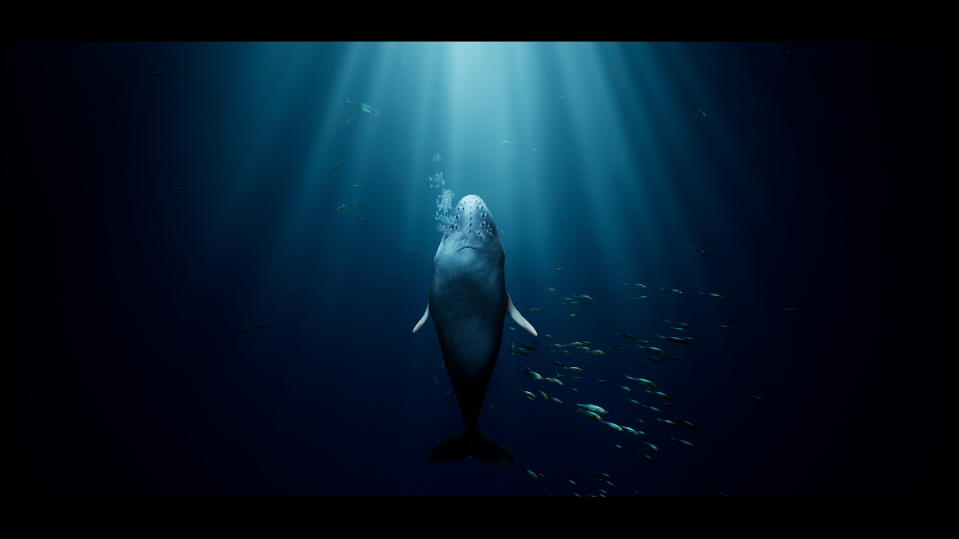 Karim Abou Shousha - Underwater BP V3 : Unreal Engine 5