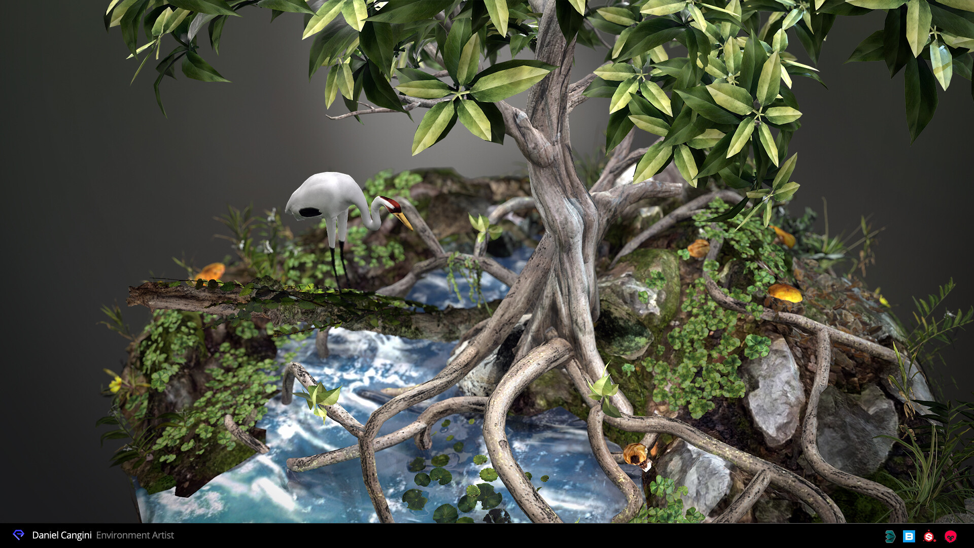 Daniel Cangini portfolio - Unlocking the secrets of mangroves Diorama