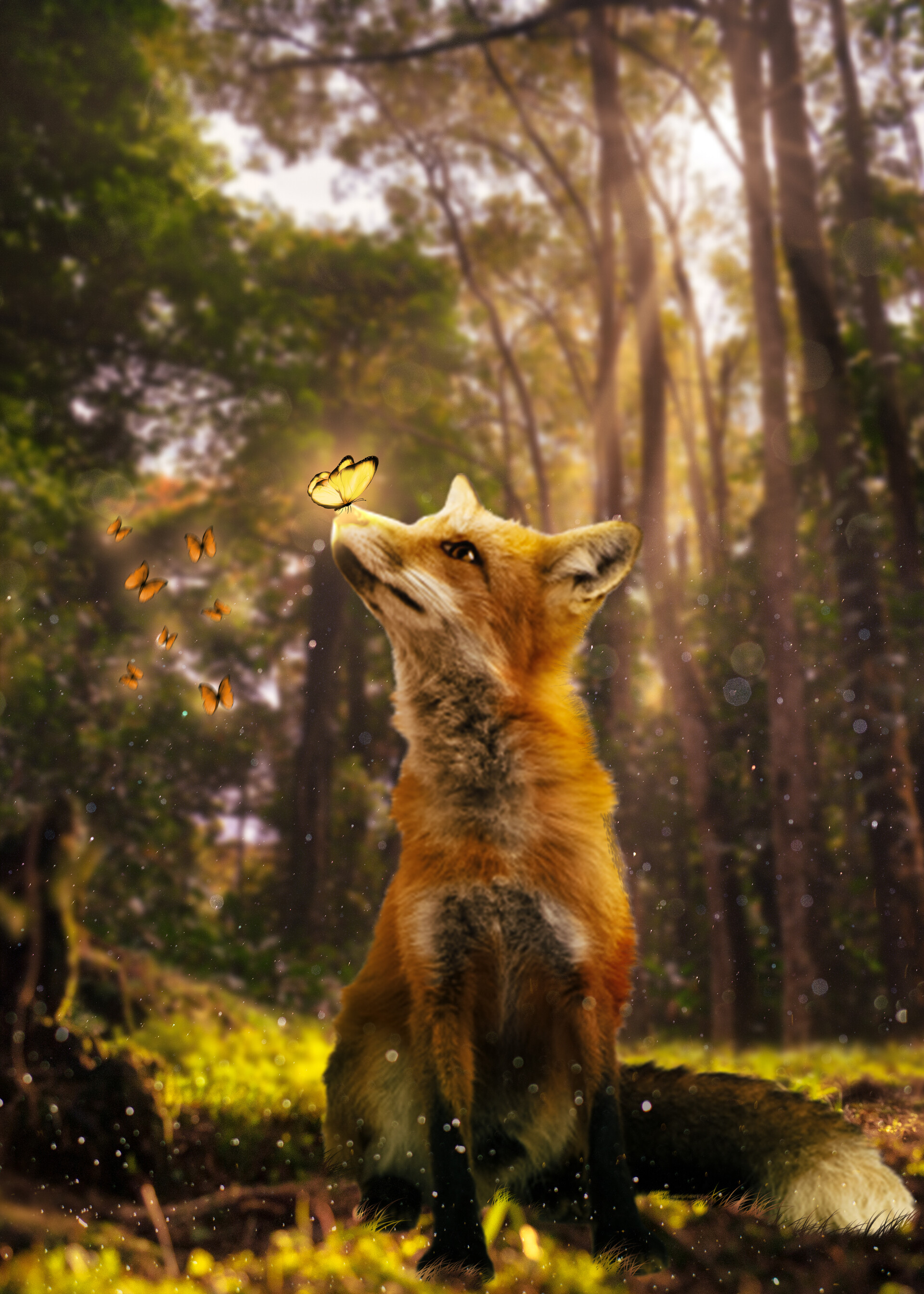 ArtStation - Curious Fox