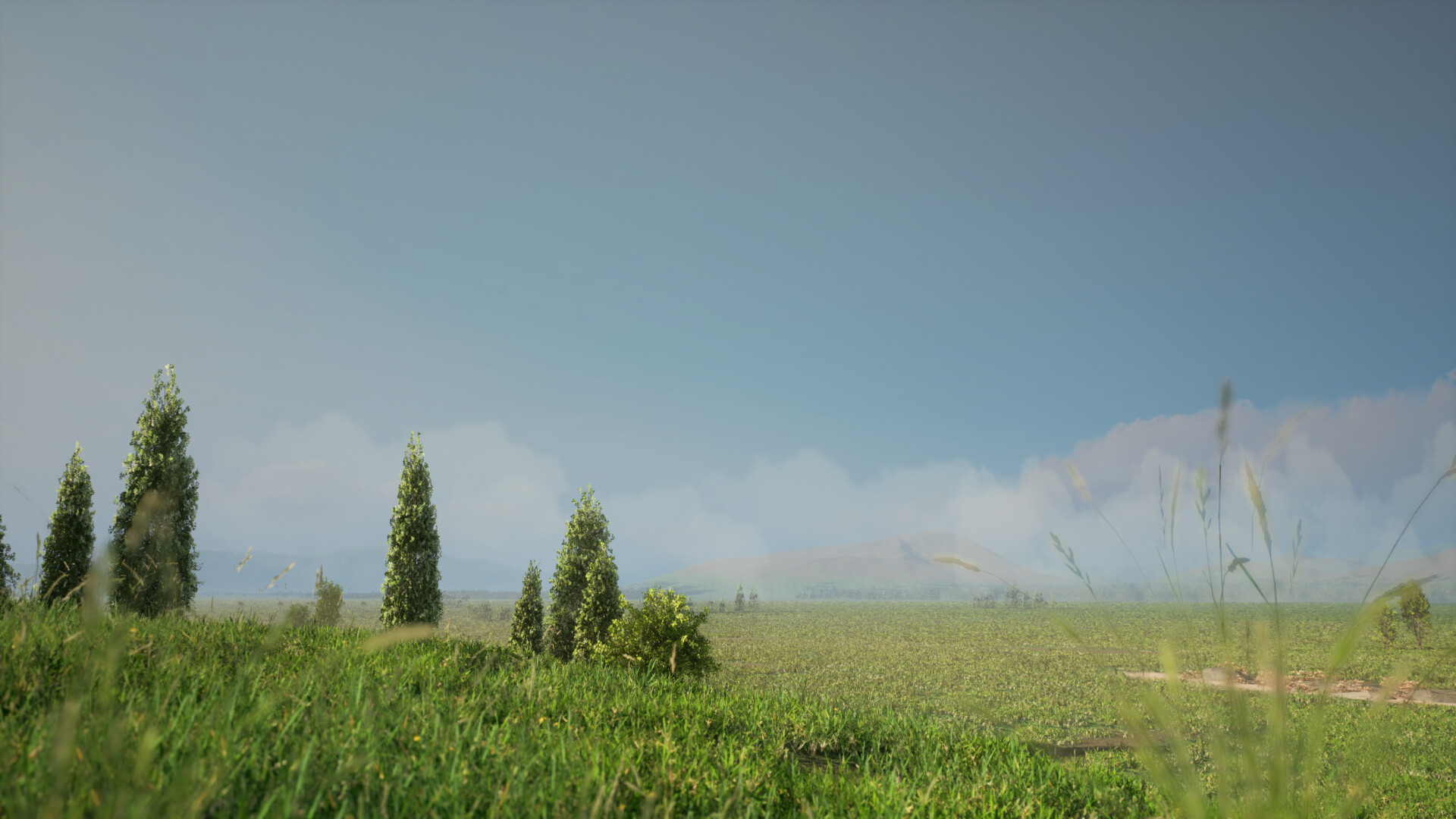 ArtStation - Field with Hills