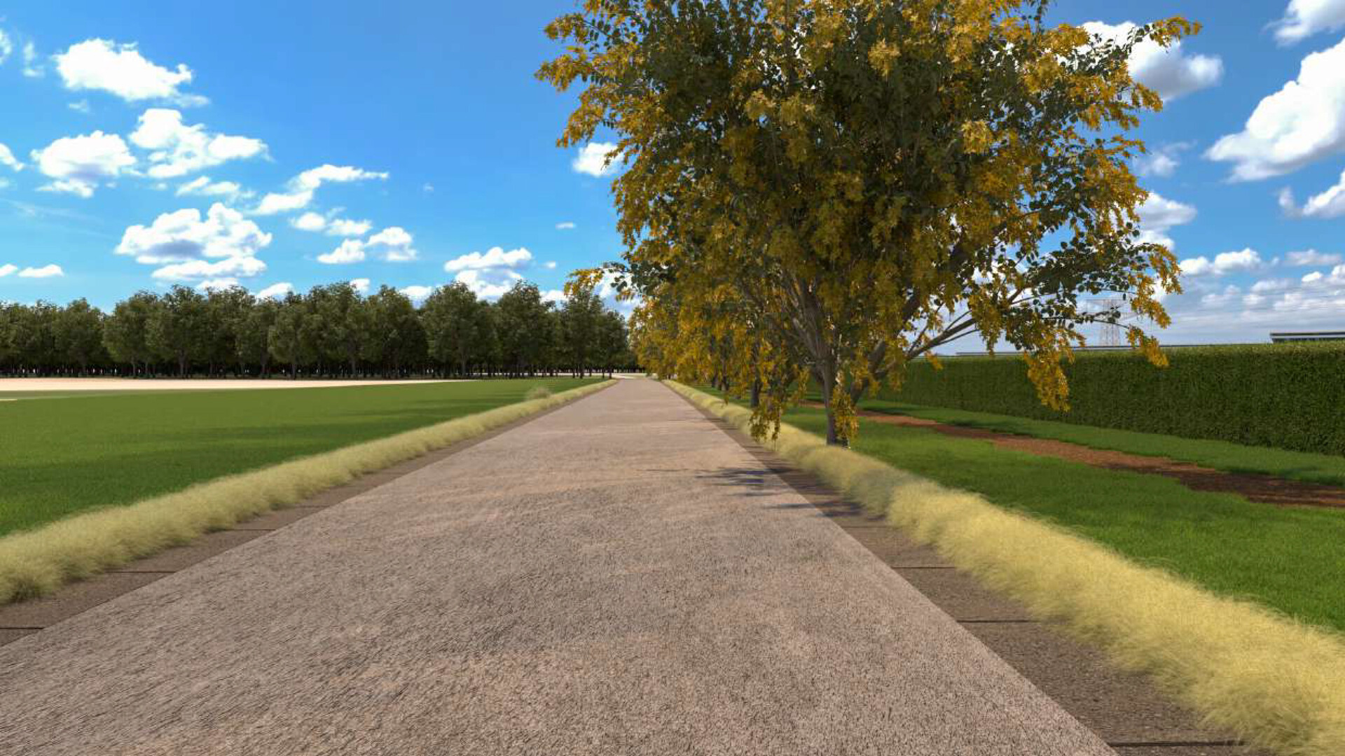 ArtStation - Solar Plants