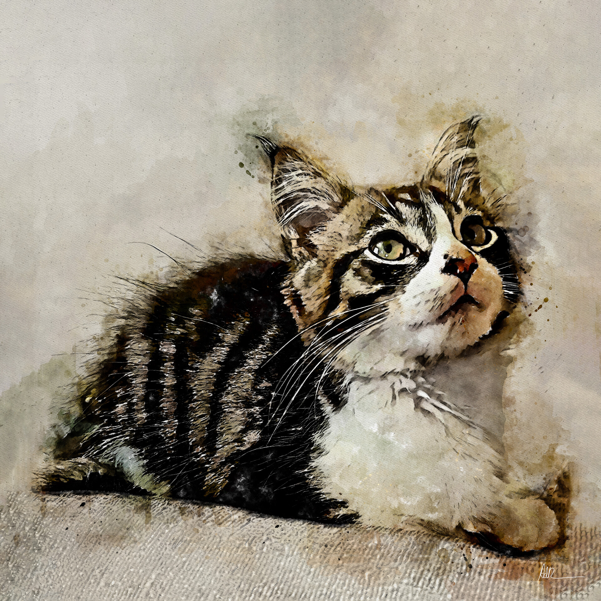 Alexander Ryan Art - Oki