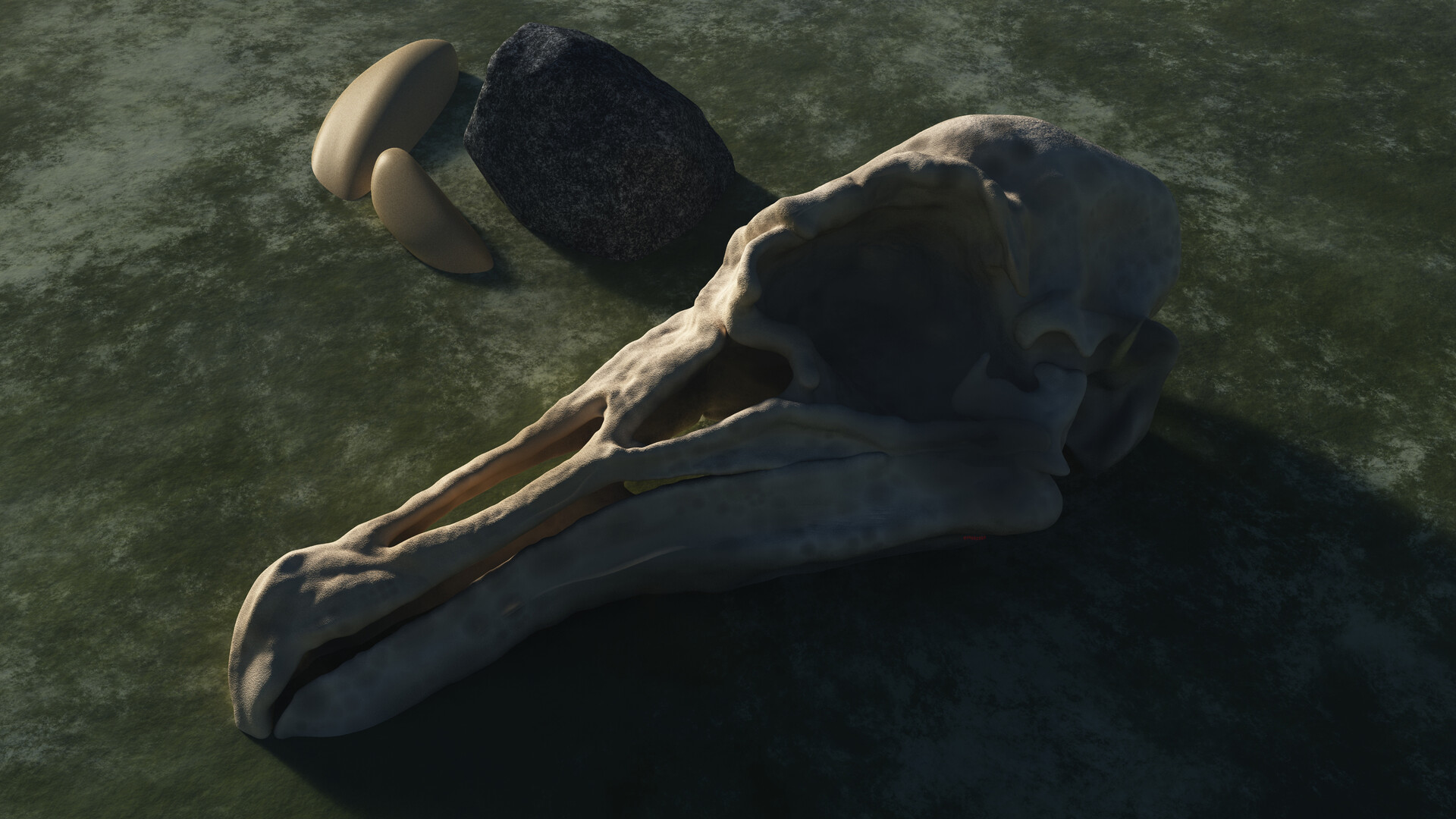 ArtStation - skull of vulture