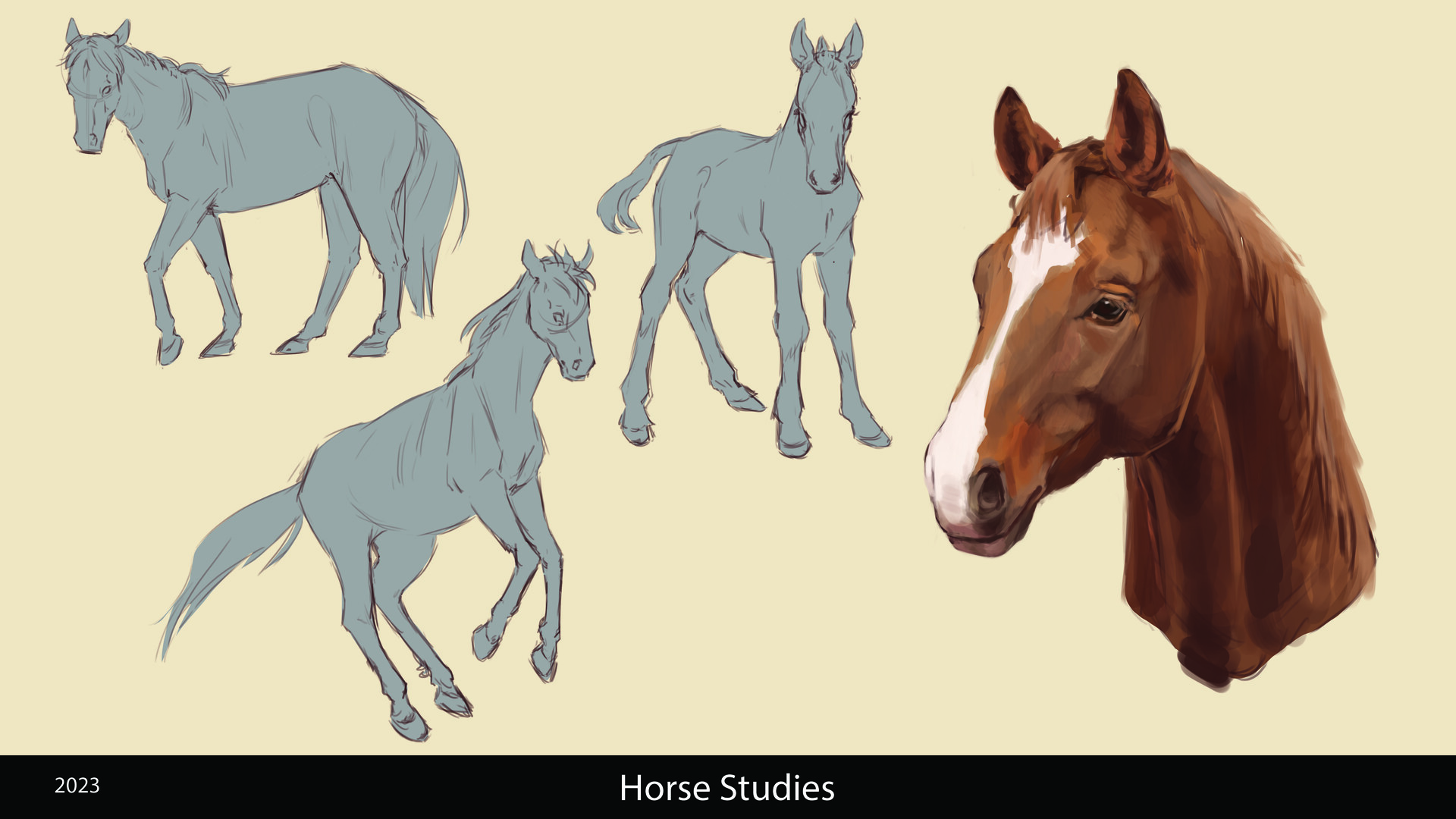 ArtStation - Horse Studies