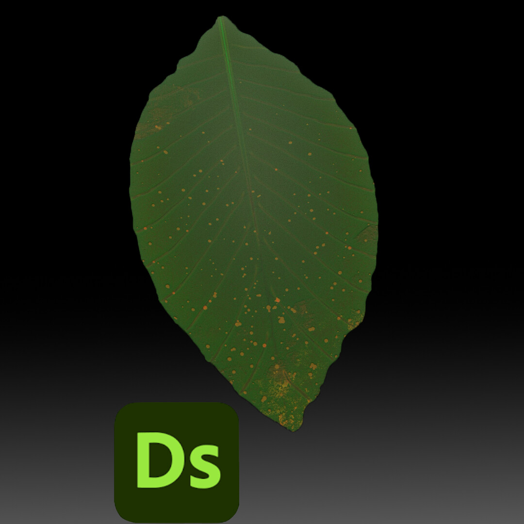 ArtStation - Substance Designer Leaf Generator WIP