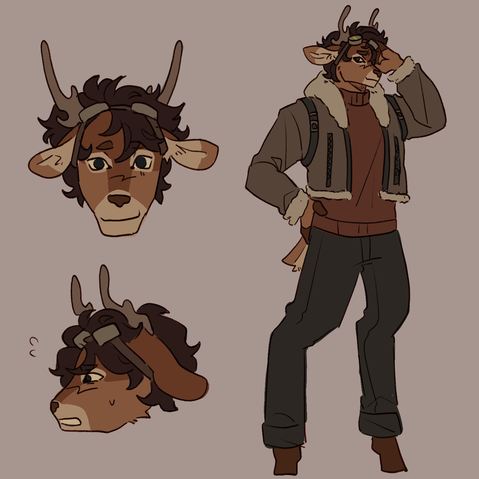 awnrii - animal studies