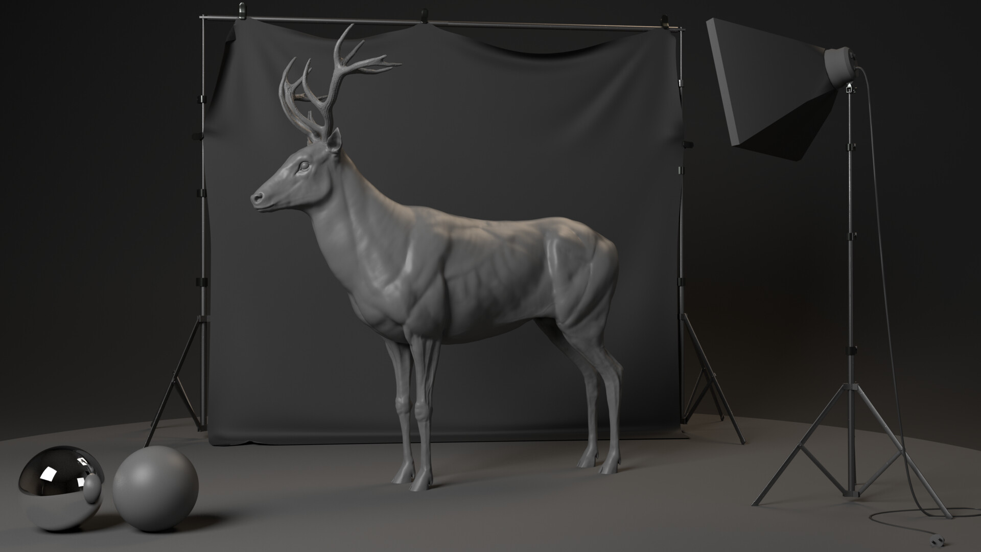 ArtStation - Red Deer
