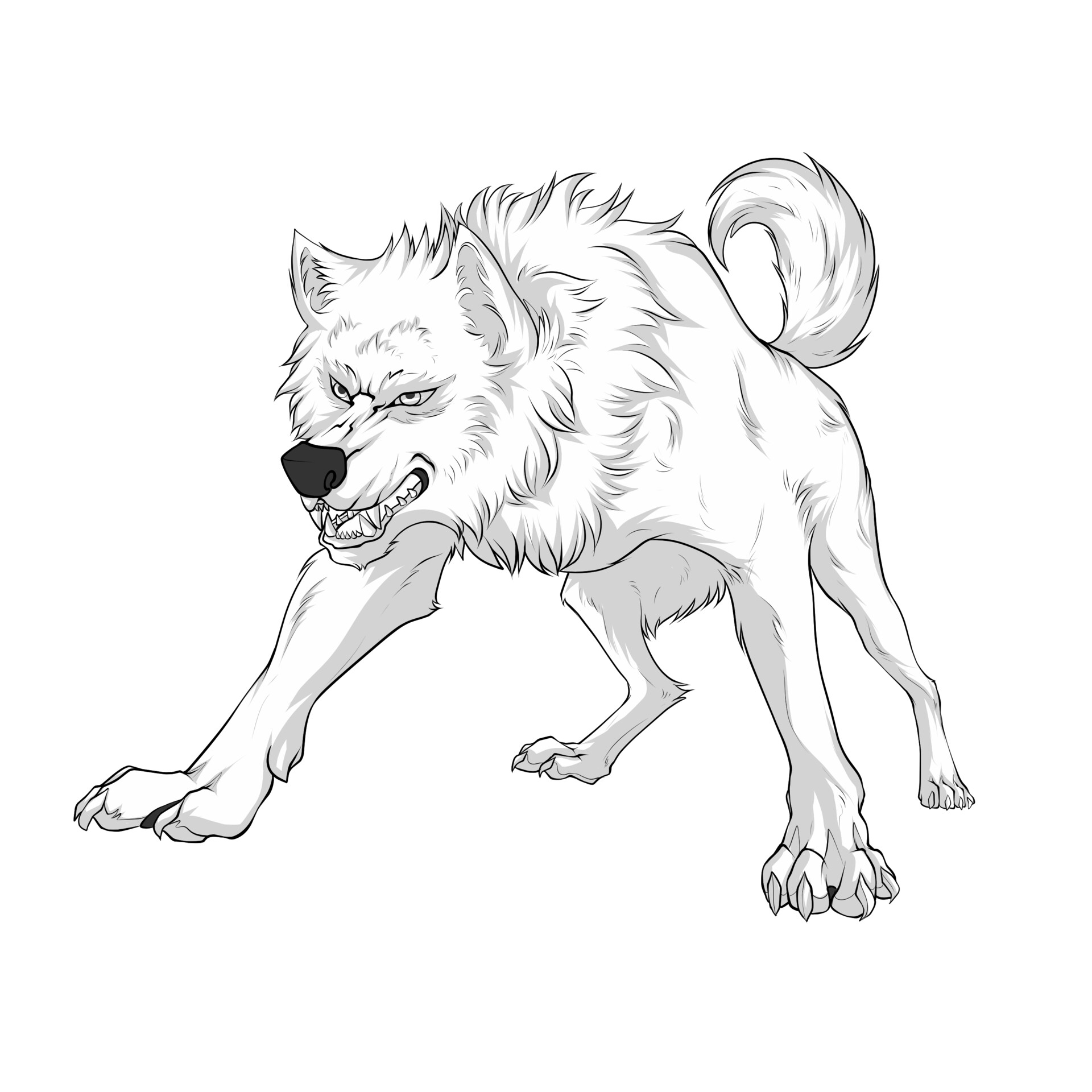 Snarling Wolf Drawing Full Body