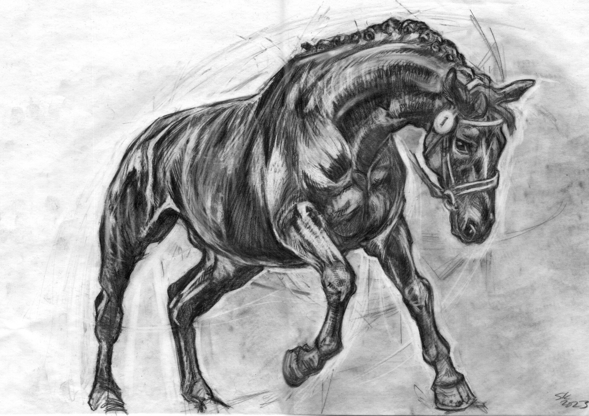 how to draw thoroughbred horse