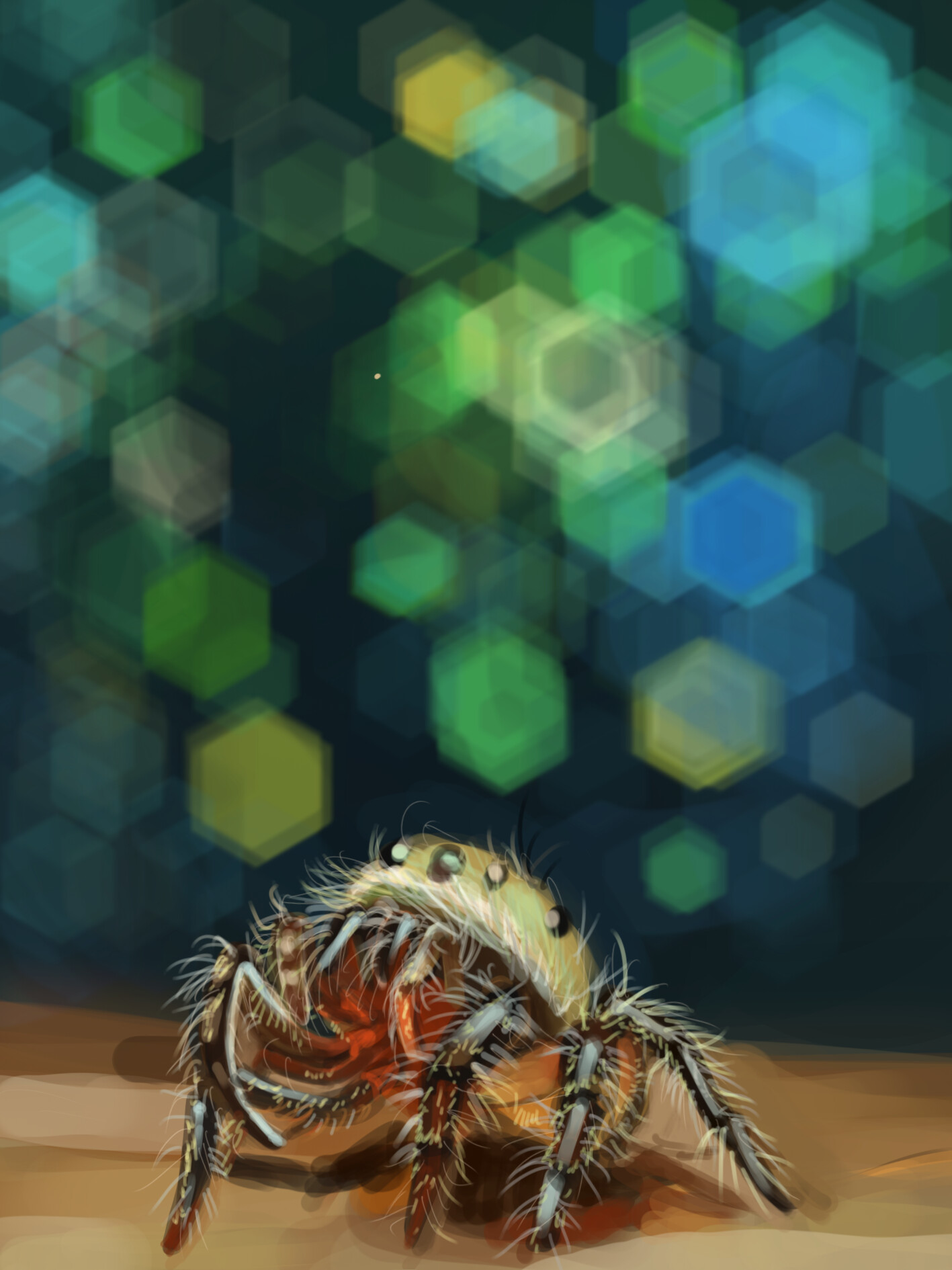 ArtStation - Spider Studies