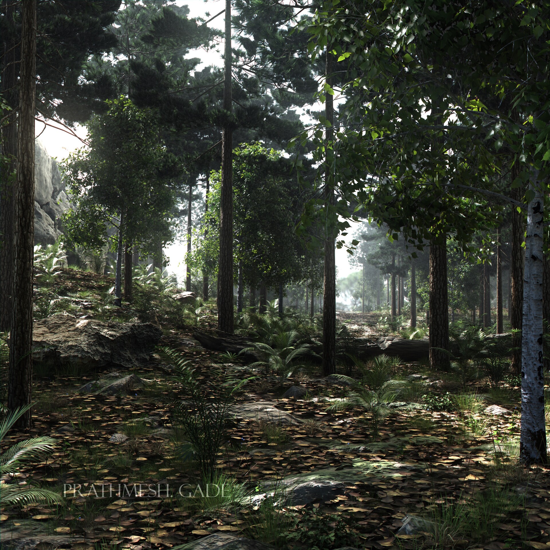 ArtStation - The Hidden Beauty of Nature