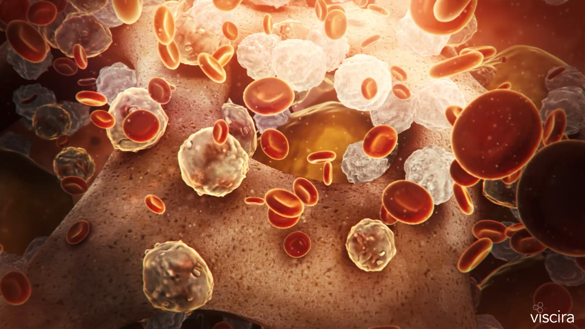 Lars Minsaas - Roles of JAK2 in Inflammation Medical Animation - Maya, Modo