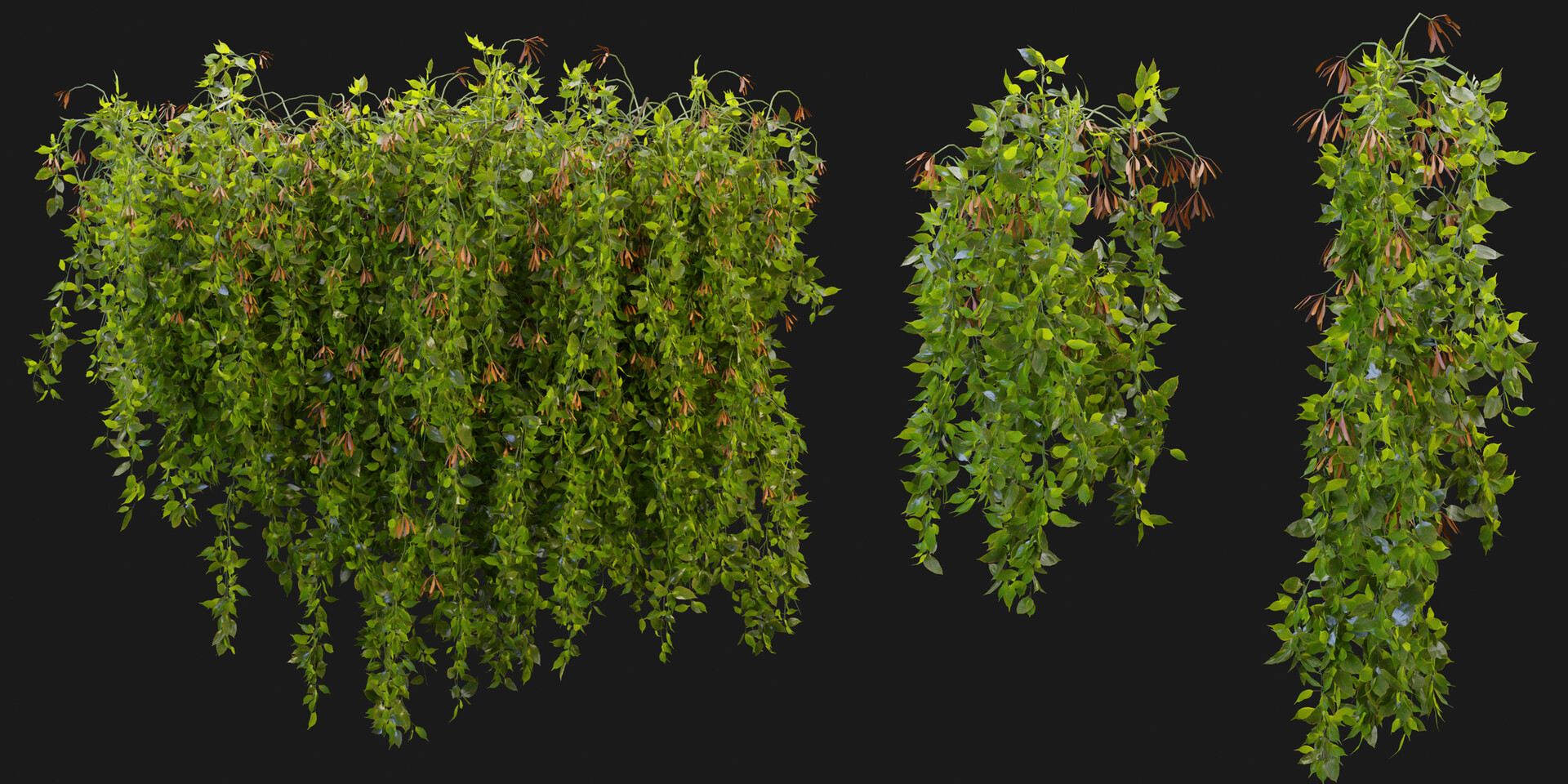 ArtStation - Collection Plant Vol 221 - Blender Model