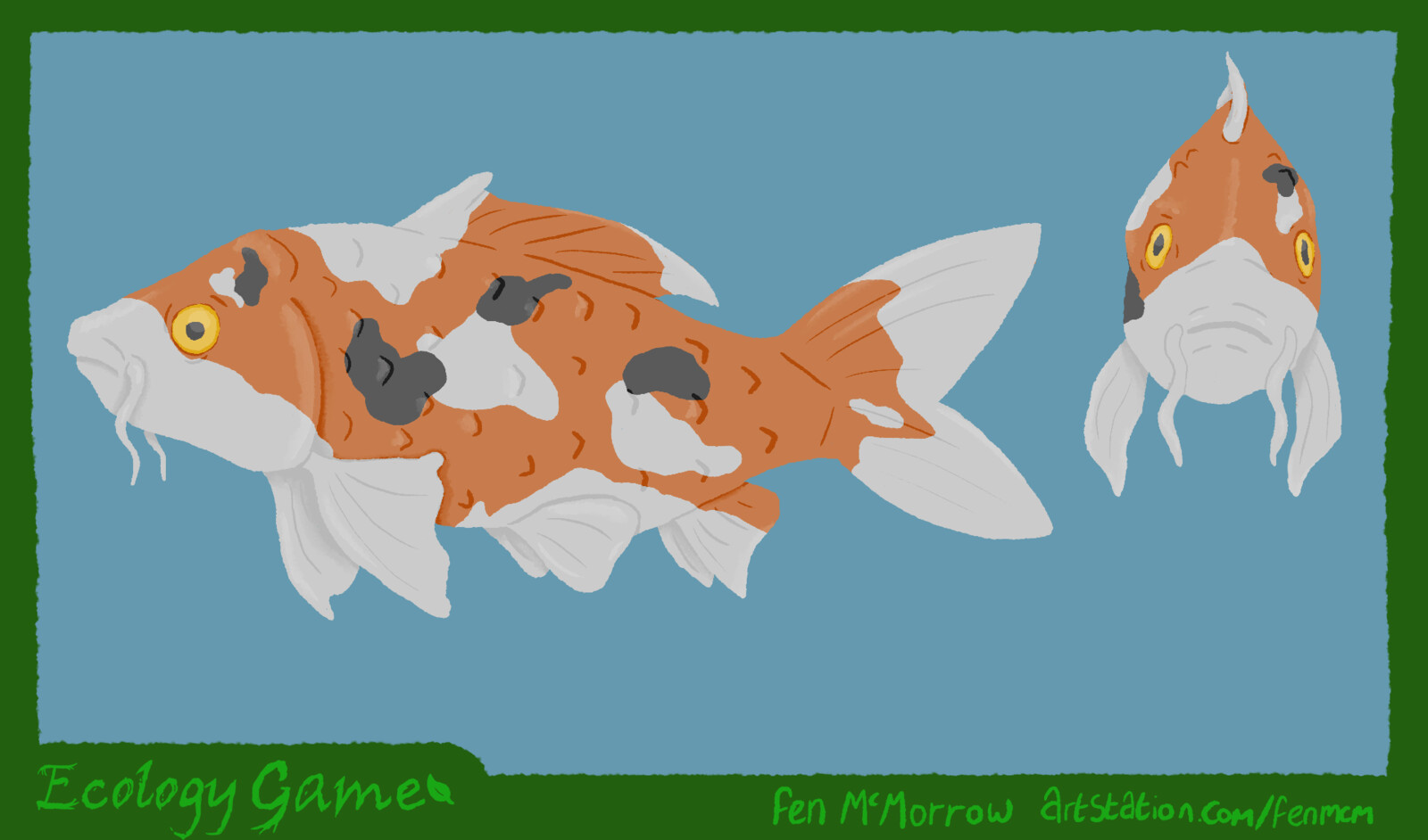 Elizabeth "Fen" Mcmorrow - Carp- Ecology Game