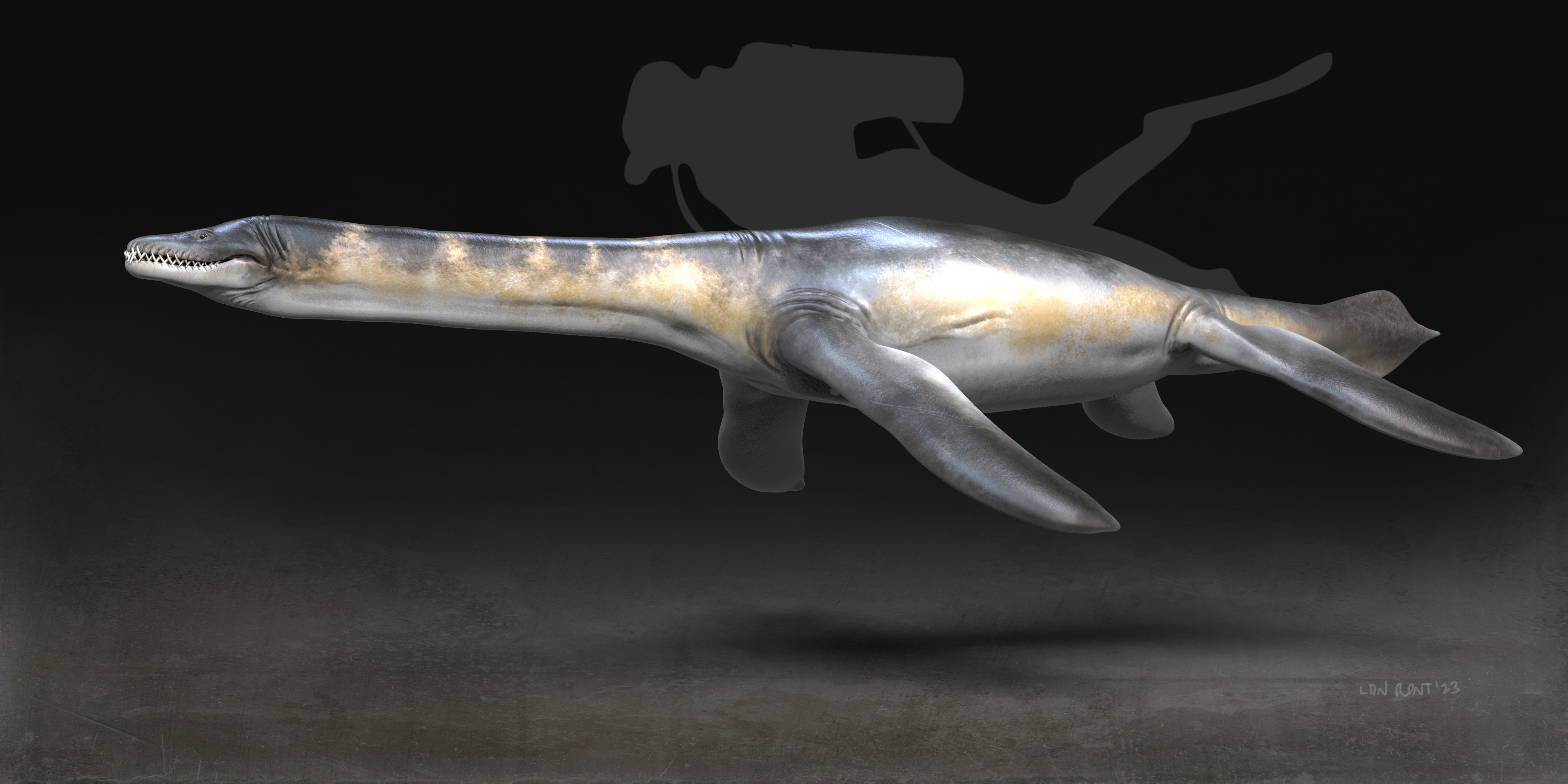 Elden Ardiente - Cryptoclidus eurymerus