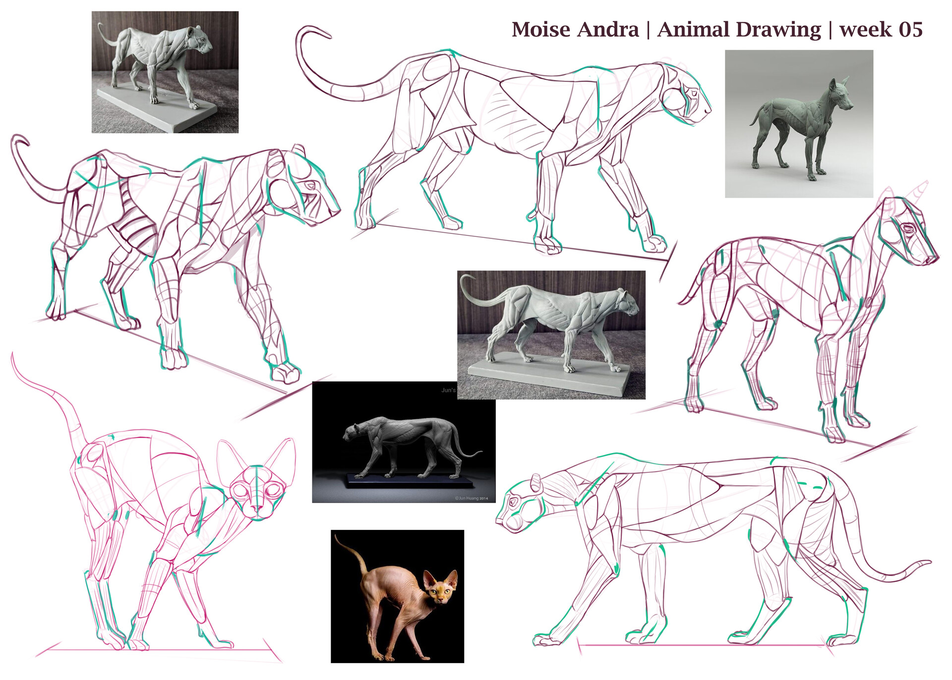 ArtStation - More Animal studies