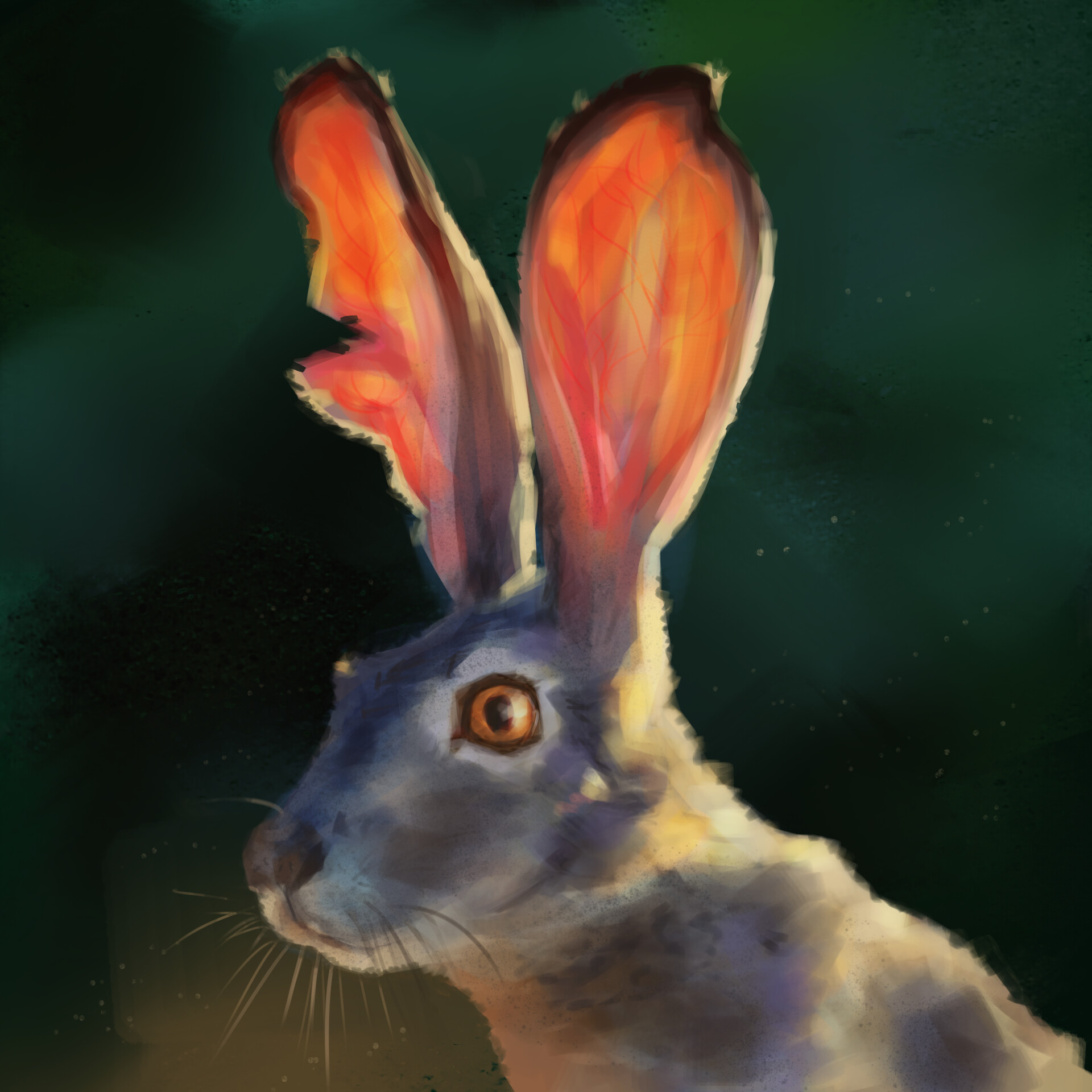 ArtStation - Lepus californicus (daily practice)