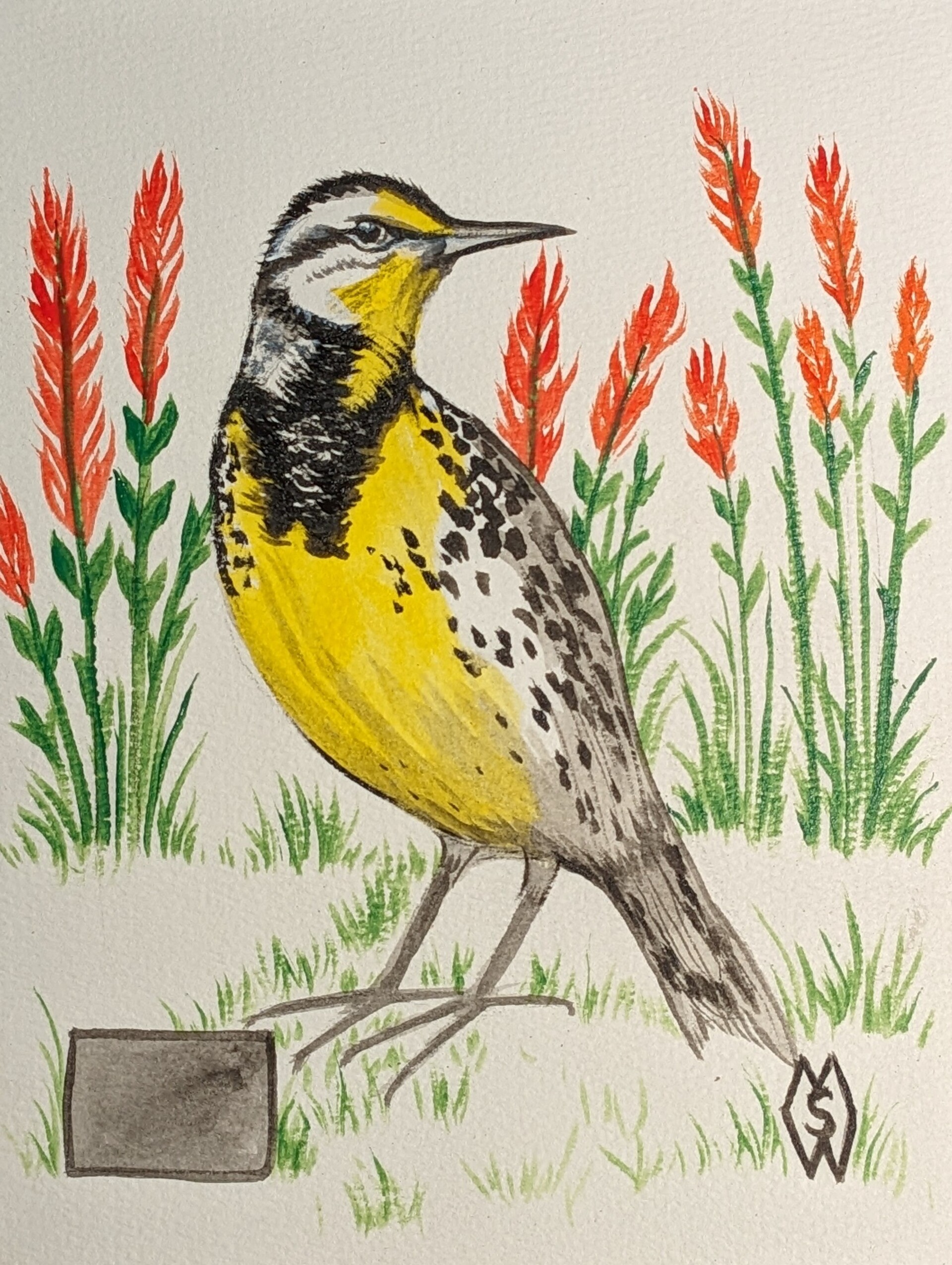 ArtStation - Wyoming state bird and flower, the meadowlark and Indian ...