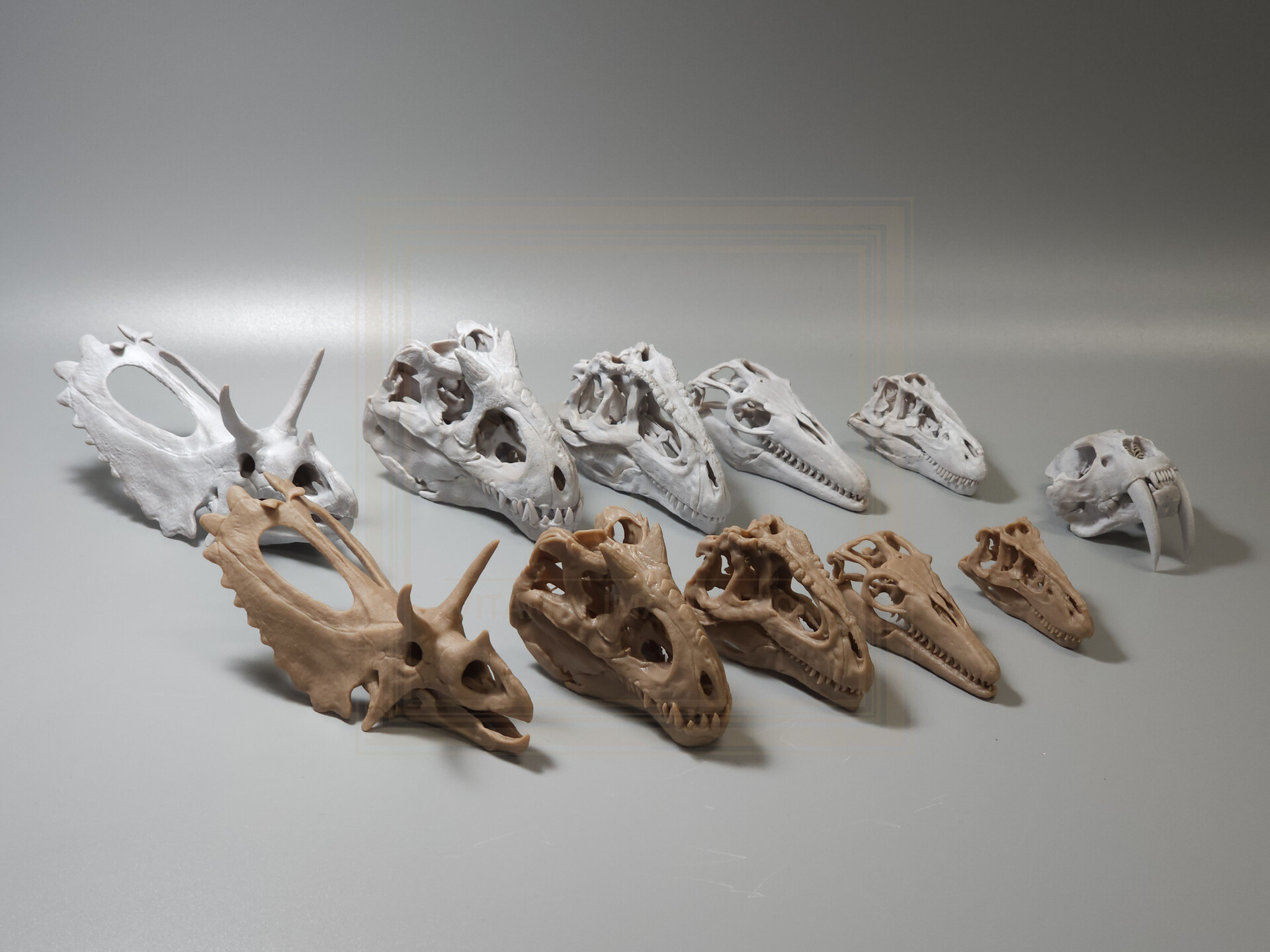 ArtStation - The dinosaur skull series is on sale.