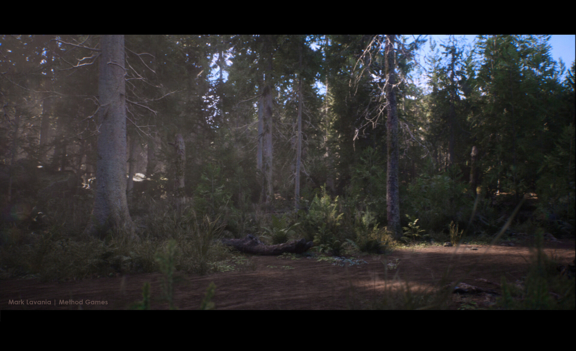 Mark Lavania - Forest Road - Unreal Engine 5